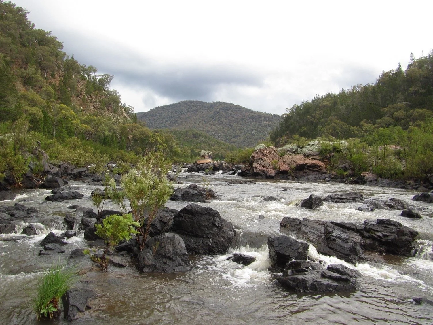 Proposed Solutions — The Forgotten River