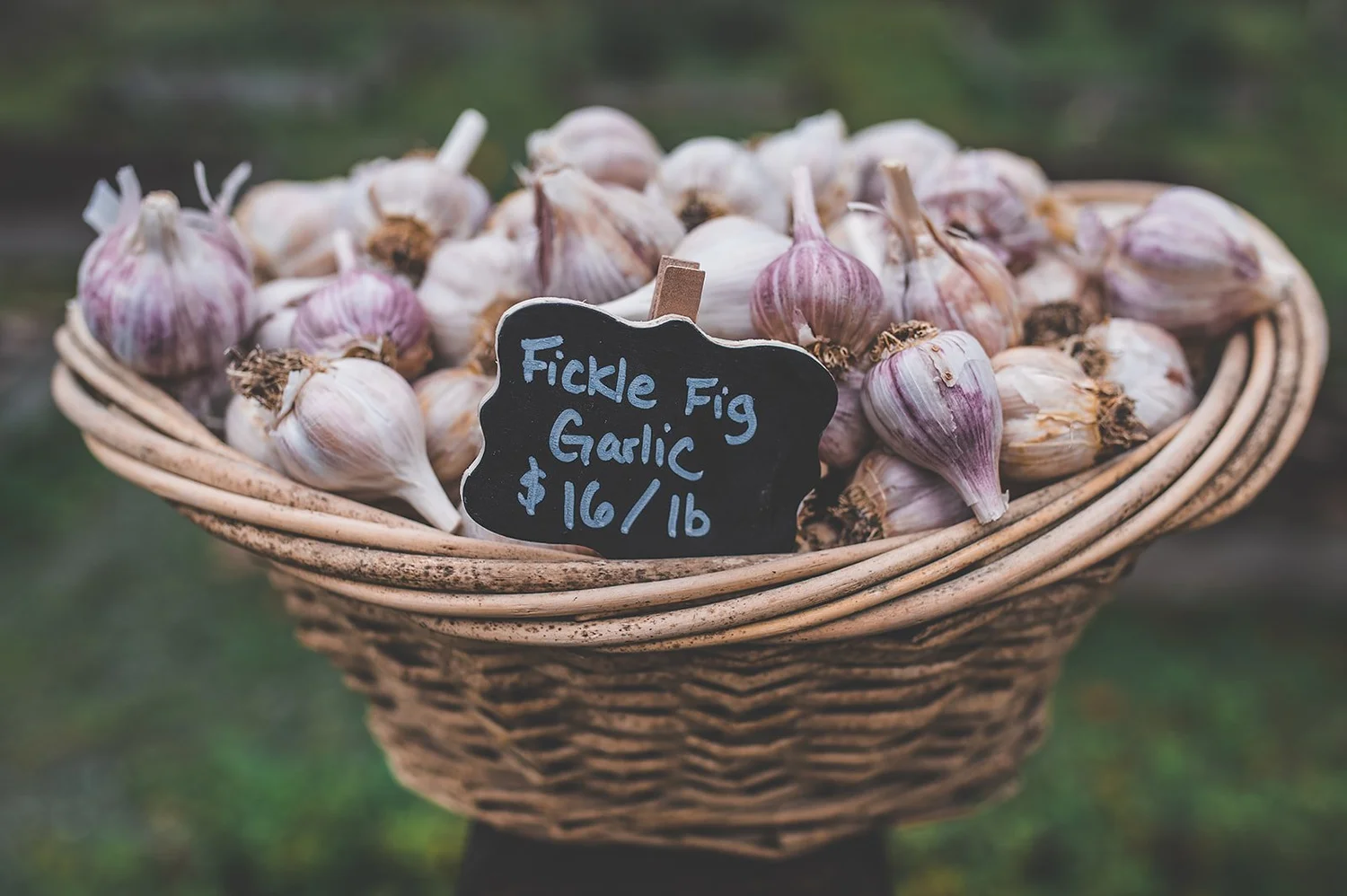 Blog — The Fickle Fig Farm Market