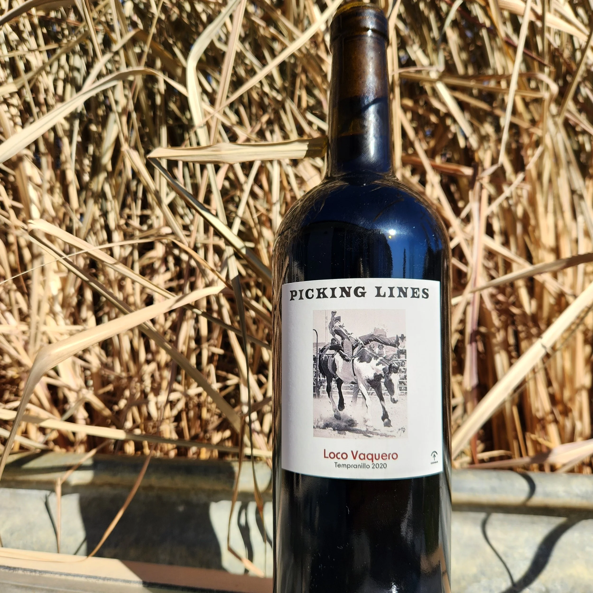 Shop — Picking Lines Wine