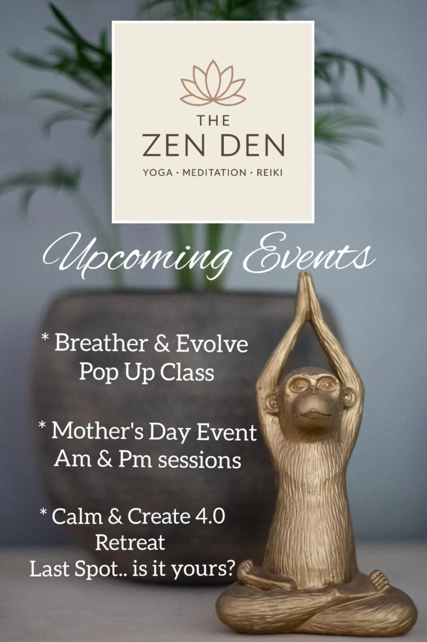The Zen Den Yoga & Meditation