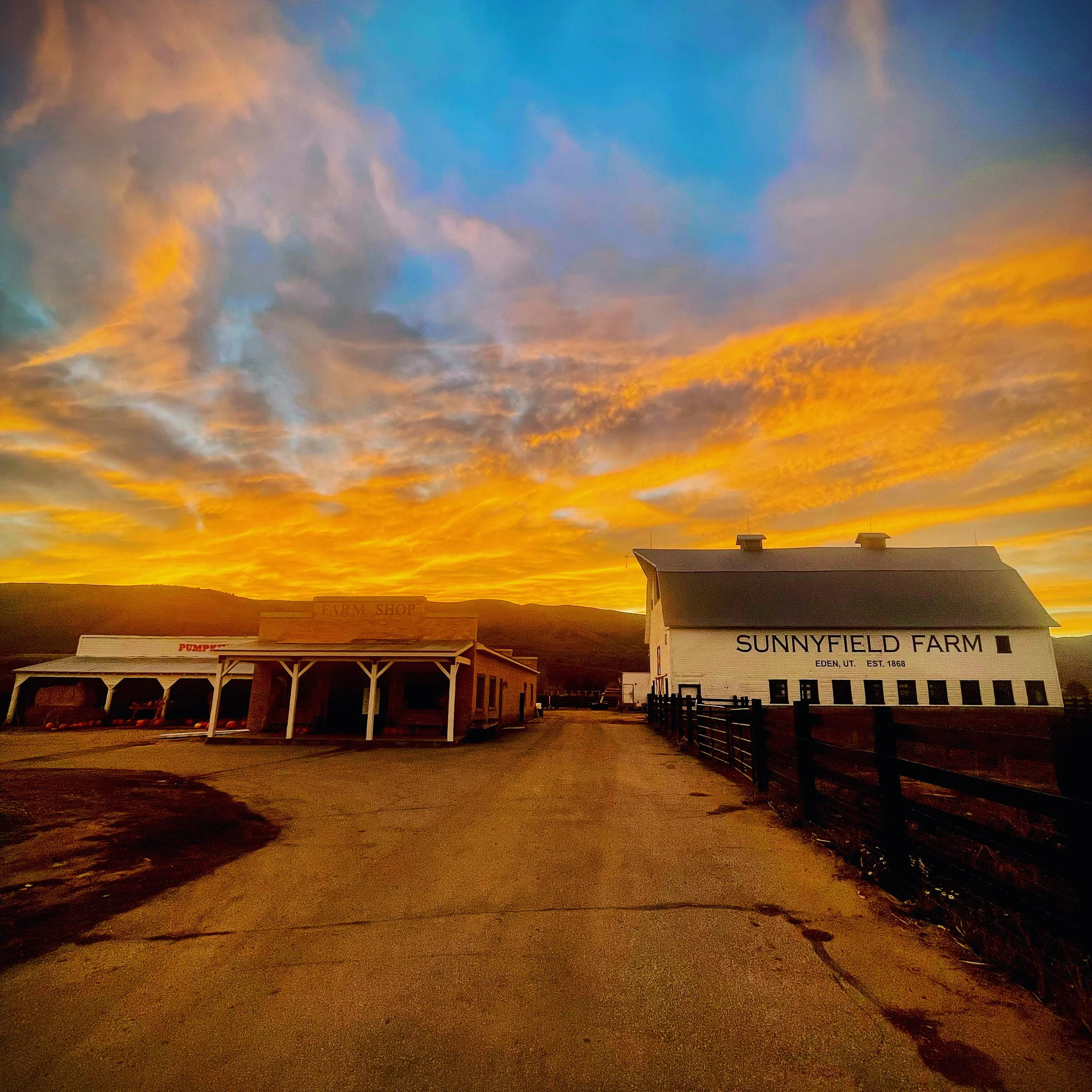 Sunnyfield Meats | Grass Raised, Grain Fed Beef | Naturally Raised Pork ...