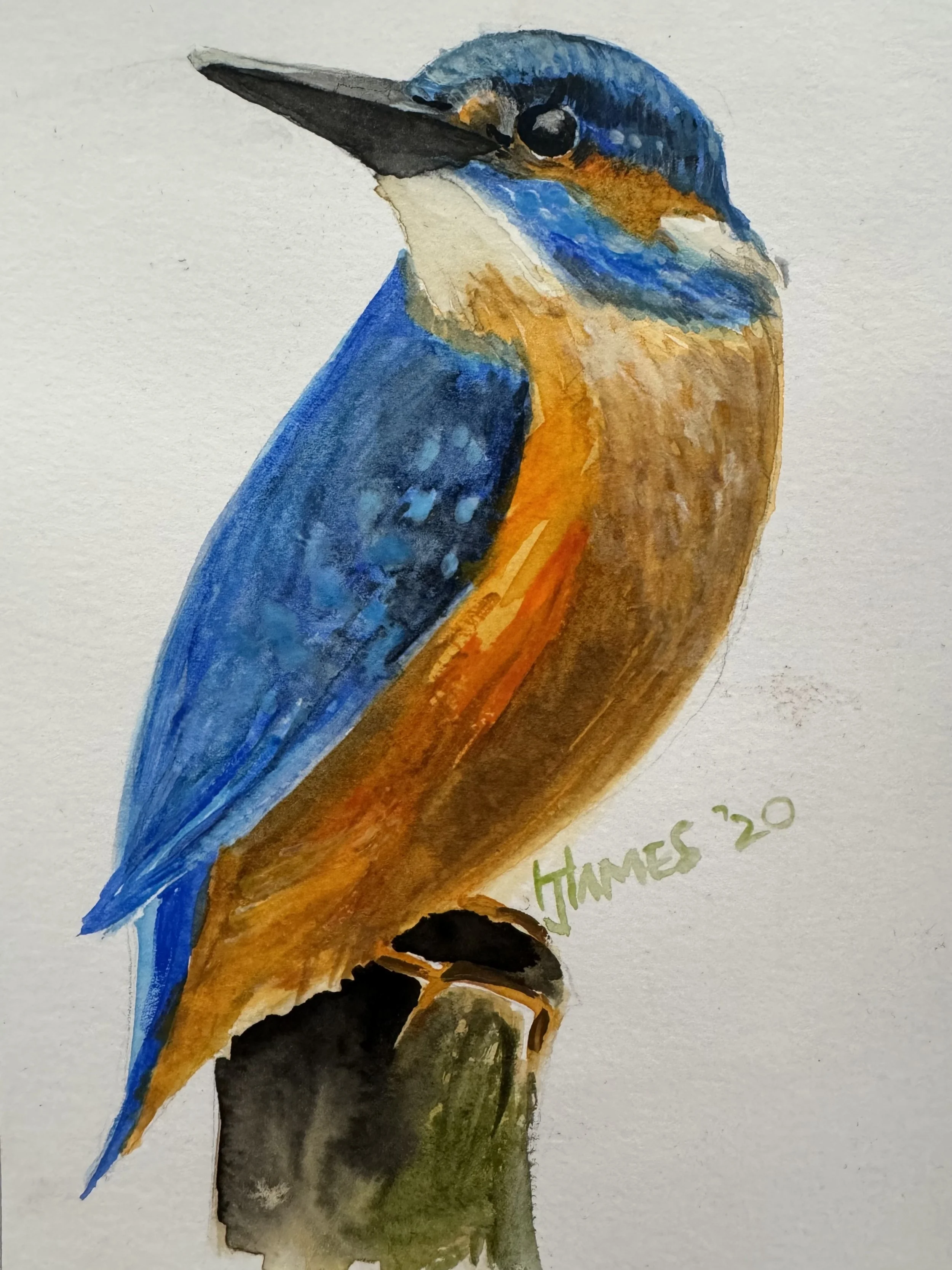Kingfisher (watercolour) by Helen James — Rev Helen James