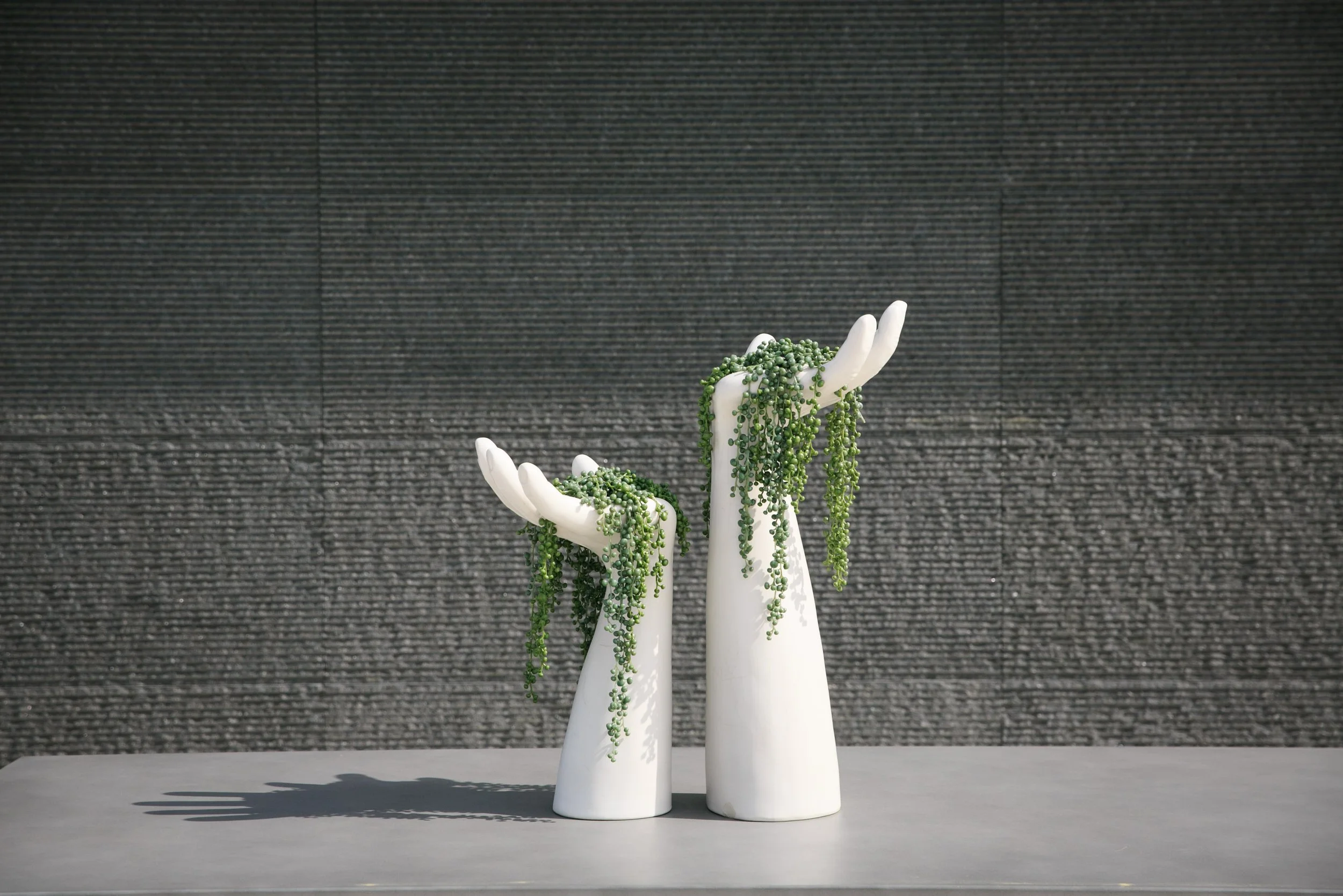 Modern Reflections — Carson Douglas Landscape Architecture