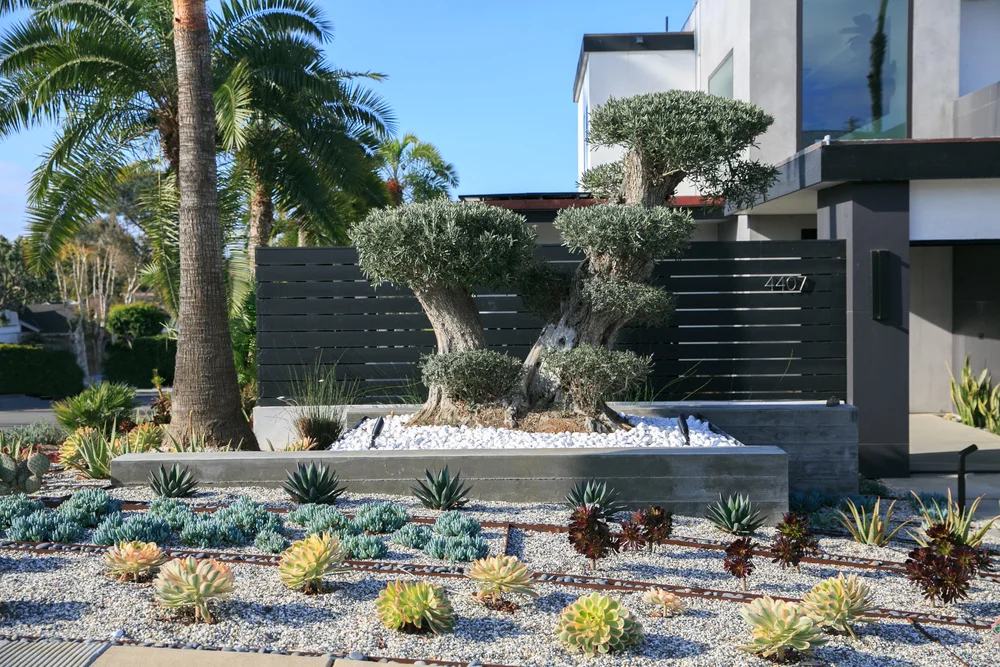 Bonsai Beach House — Carson Douglas Landscape Architecture