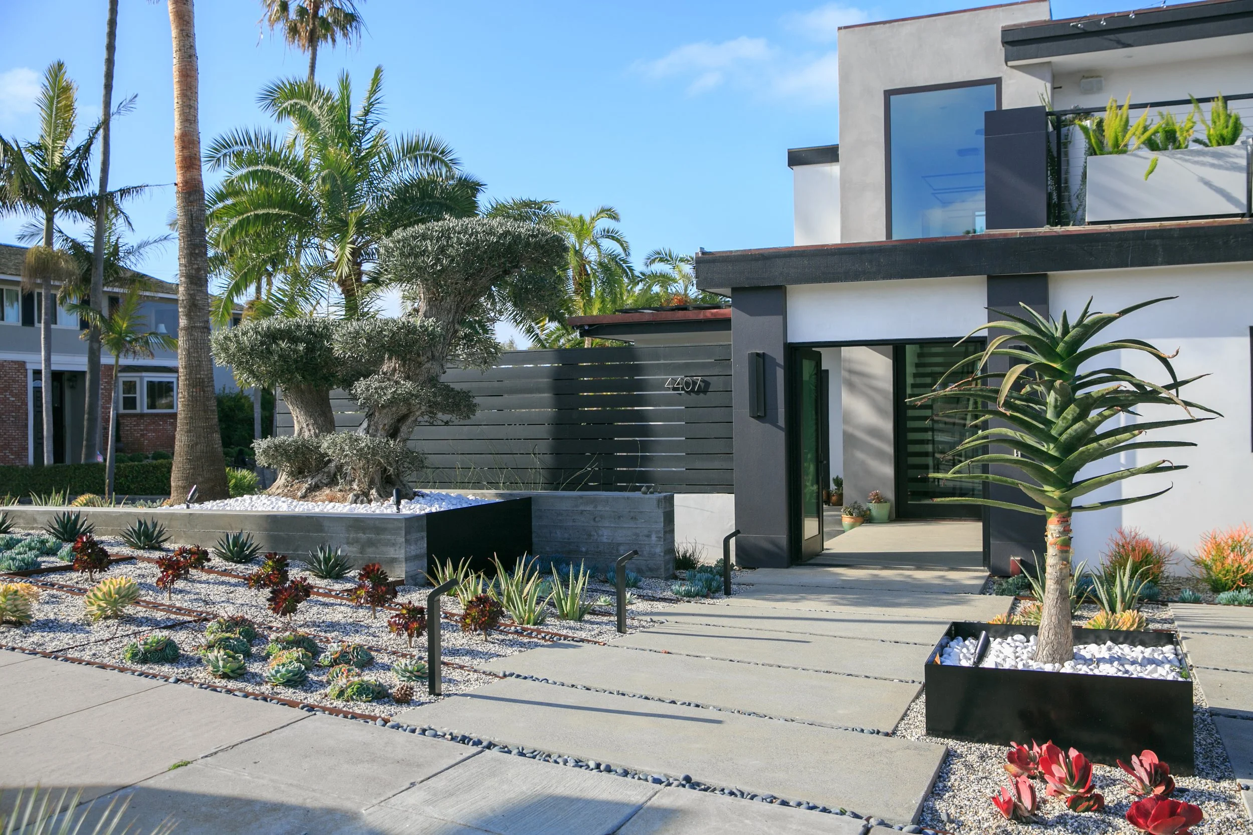 Bonsai Beach House — Carson Douglas Landscape Architecture