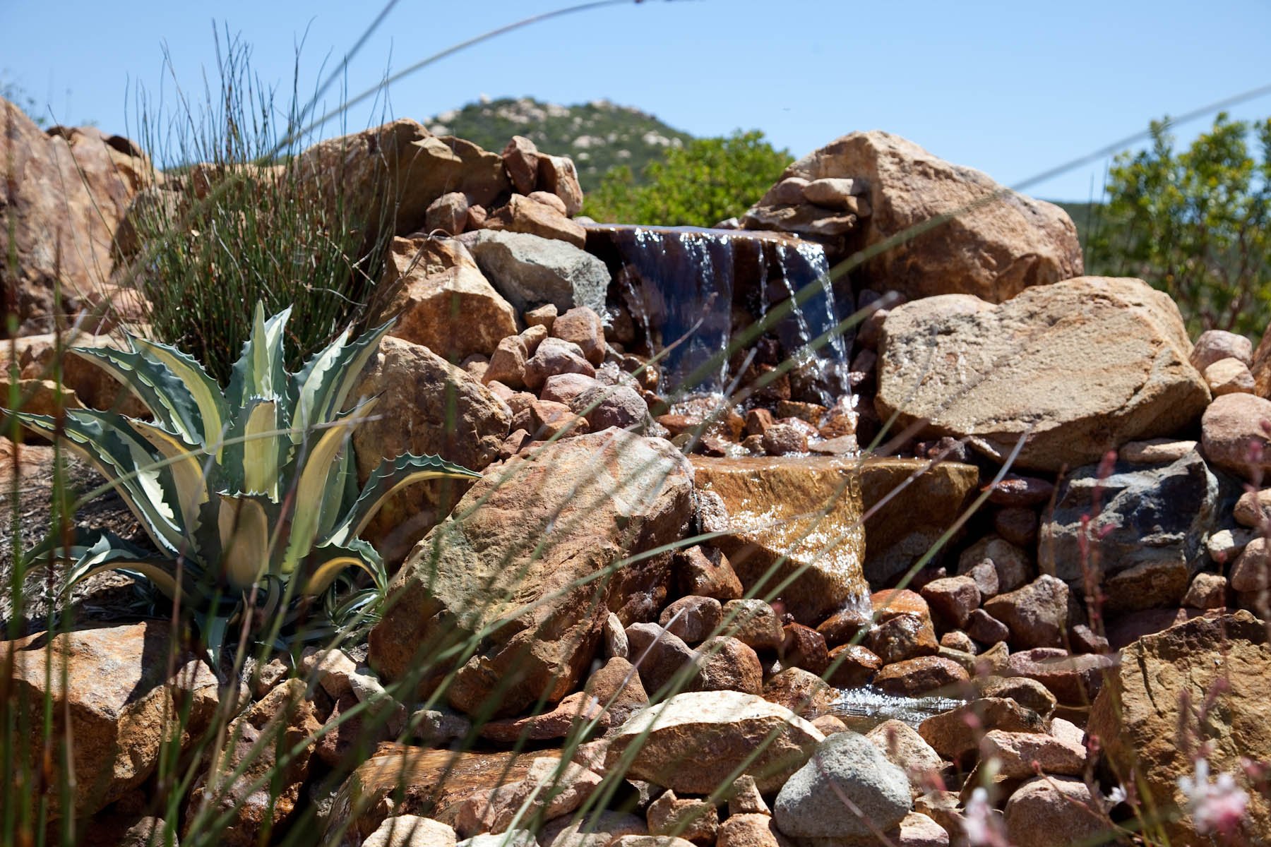 Alpine Event Site — Carson Douglas Landscape Architecture