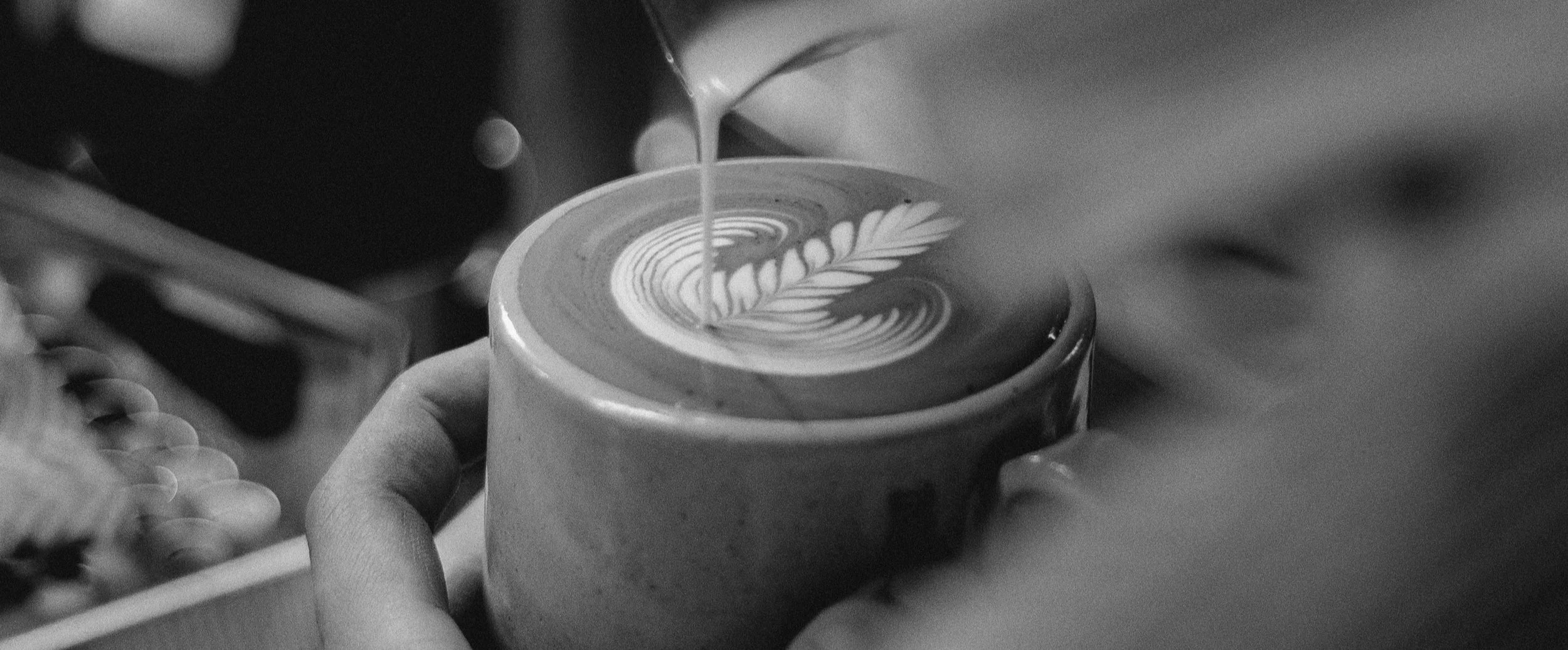 Hot Drinks - Forge Coffee Roasters — Bebida Beverage Solutions