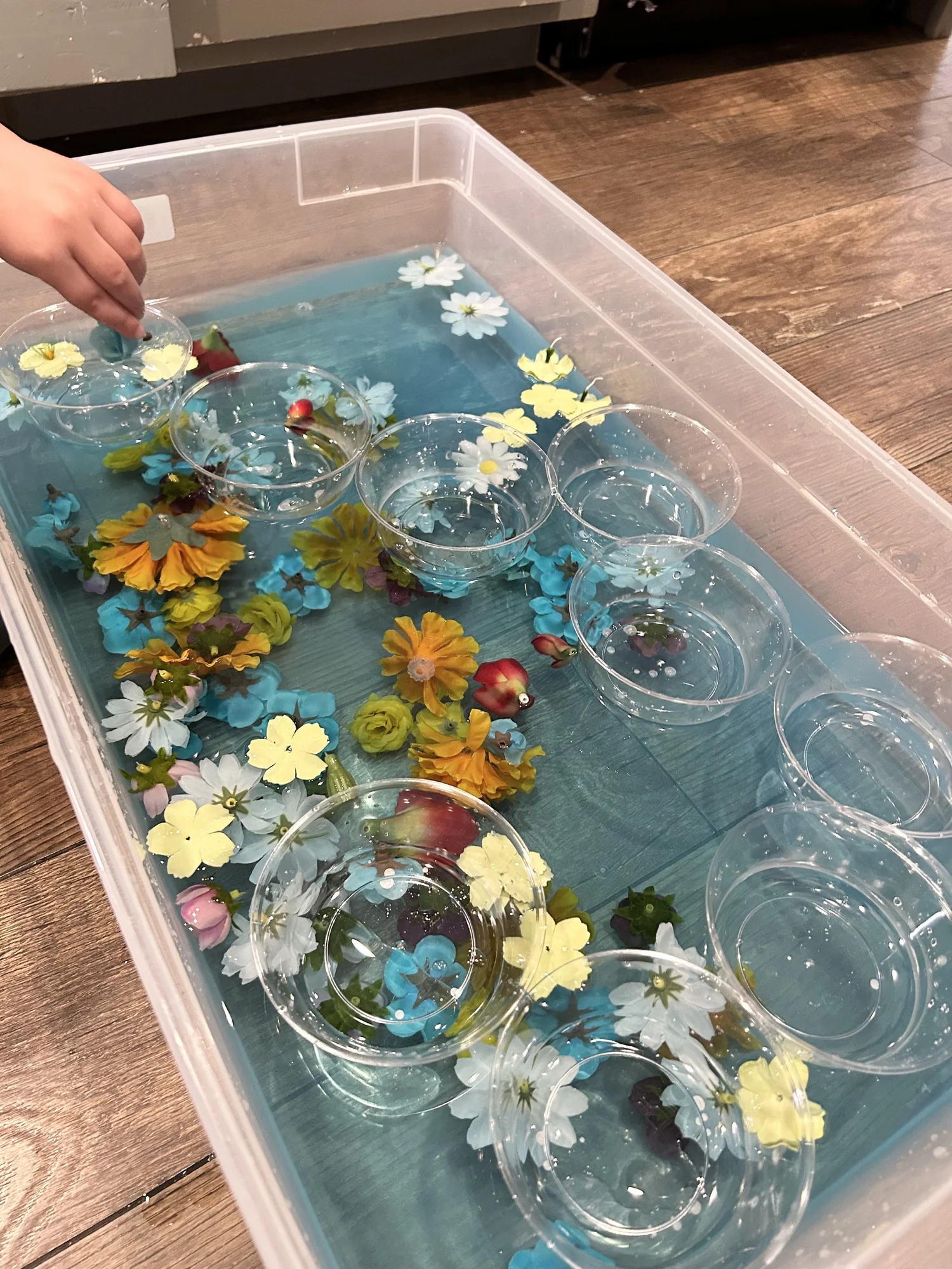 Flower Sensory Bin Play — My Preschool Place