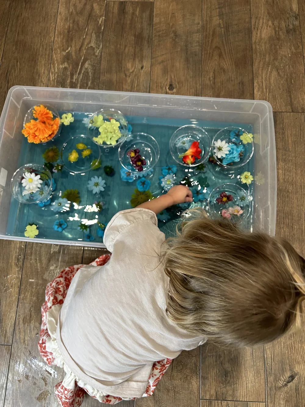 Blog — My Preschool Place