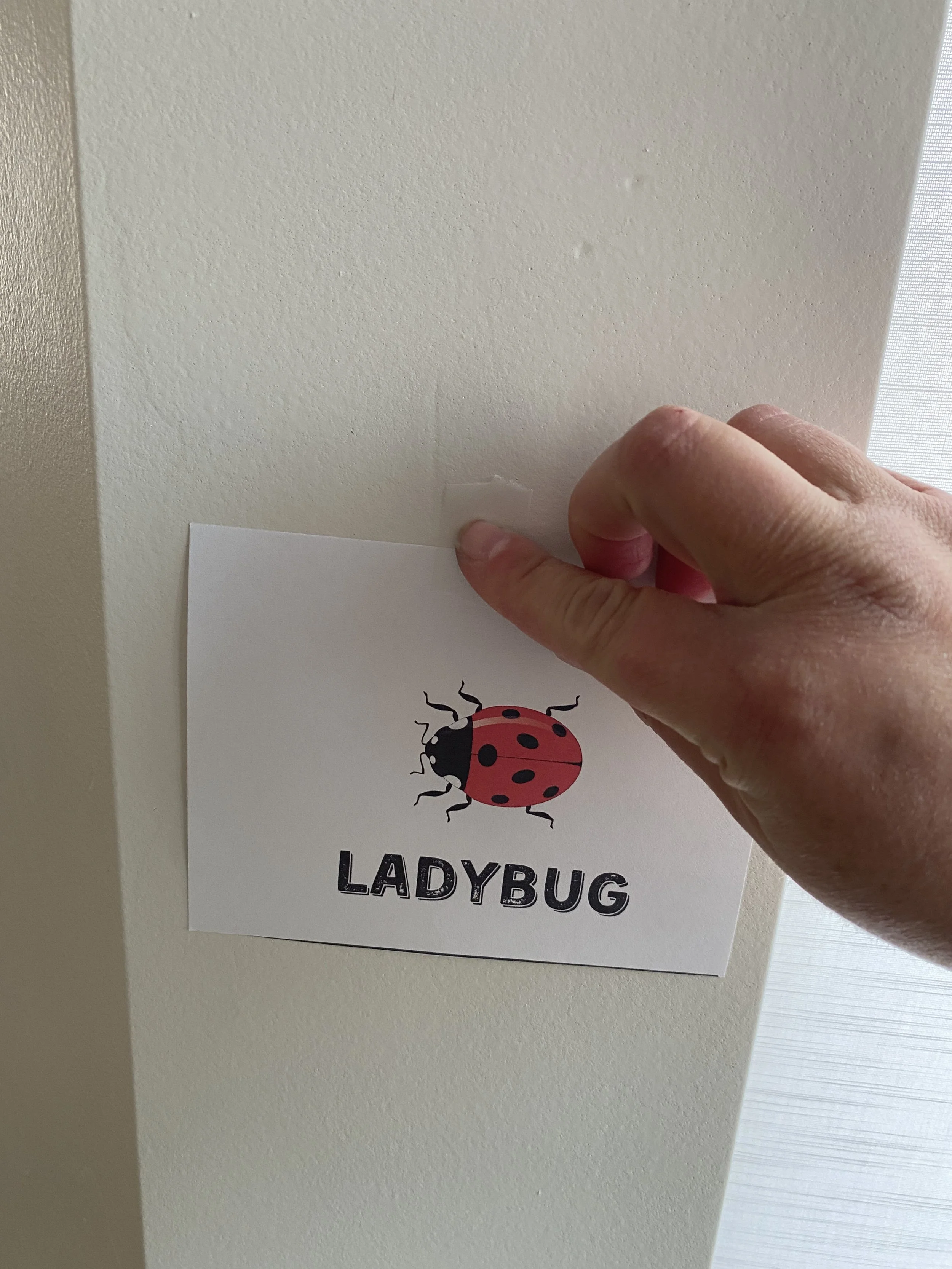 Bug Scavenger Hunt — My Preschool Place