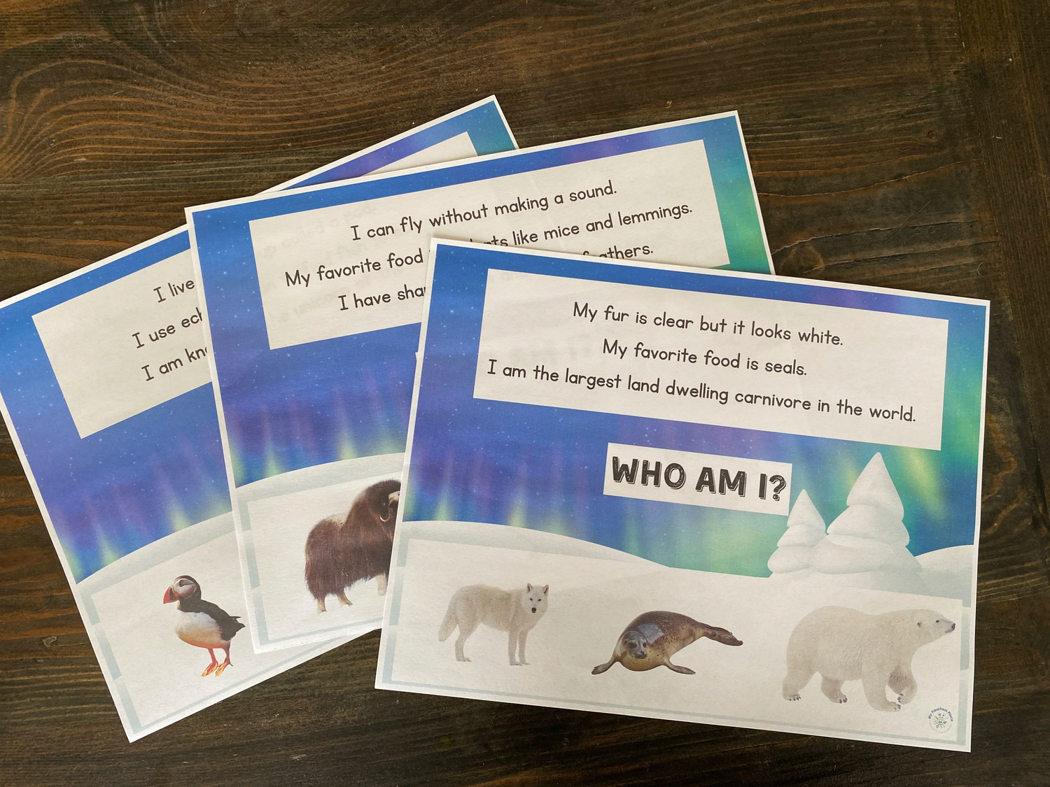 Blog — My Preschool Place