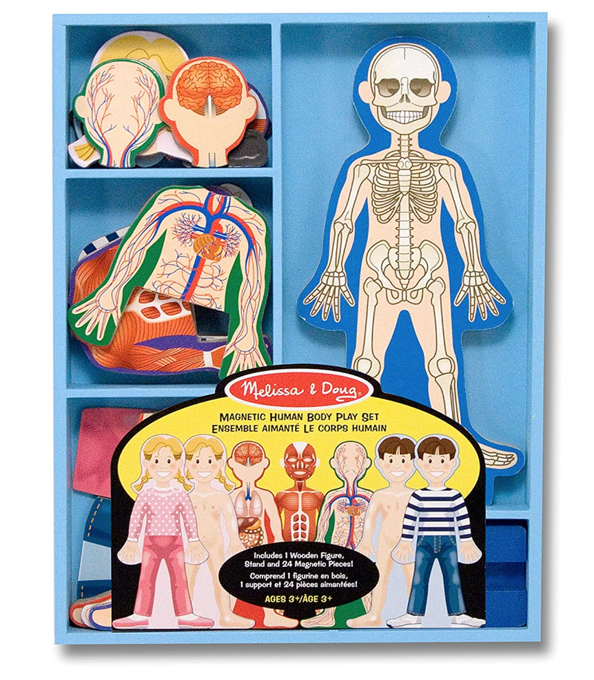 Our Favorite Science Tools and Toys — My Preschool Place