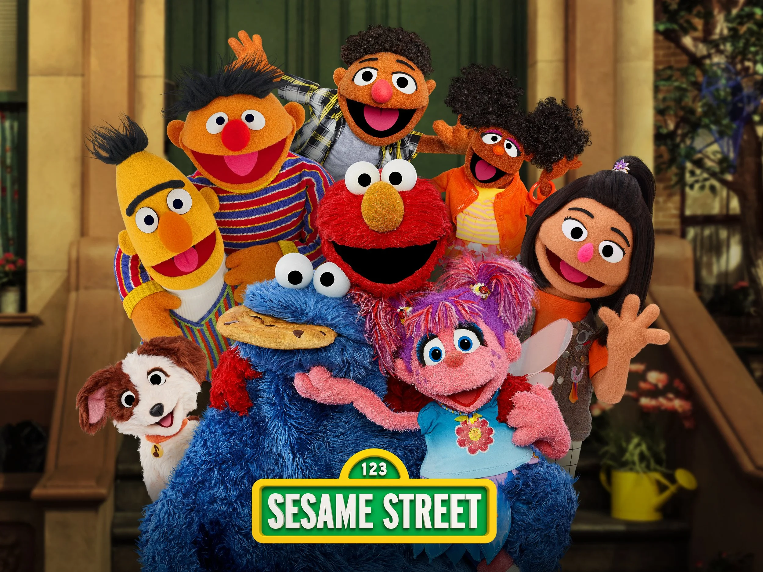 Our Favorite Educational Shows for Preschoolers — My Preschool Place