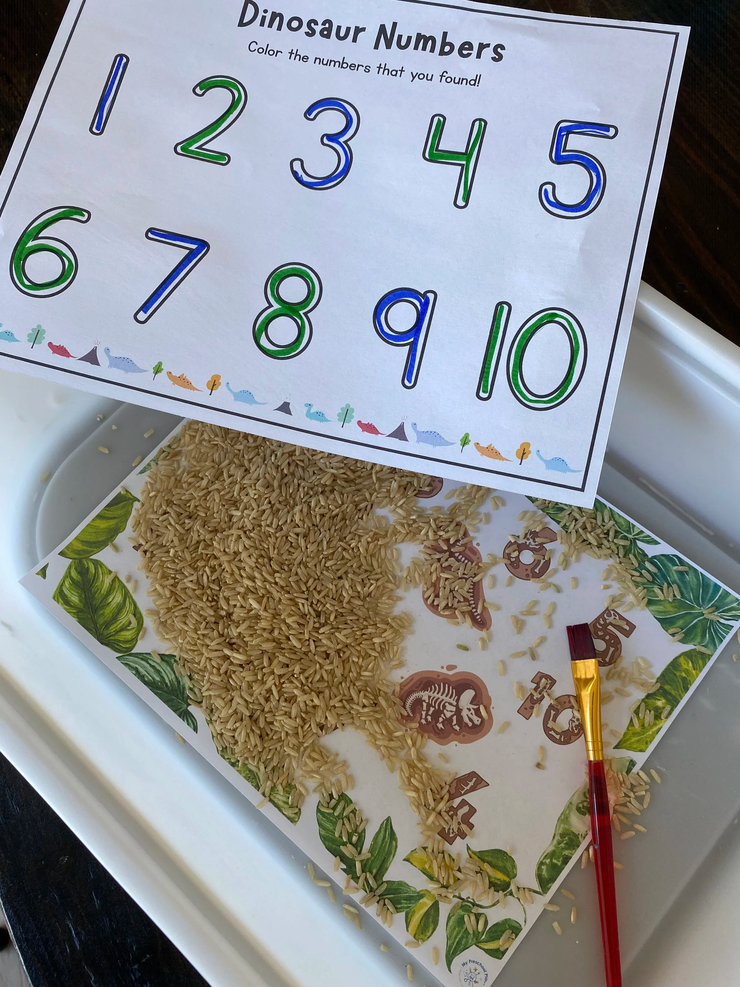 Dinosaur Sensory Bin (free download!) — My Preschool Place