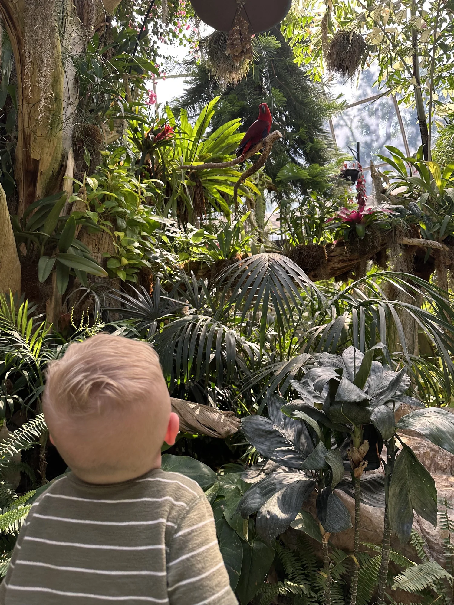 5 Reasons Why Outdoor Play is Good for Your Child’s Brain — My ...