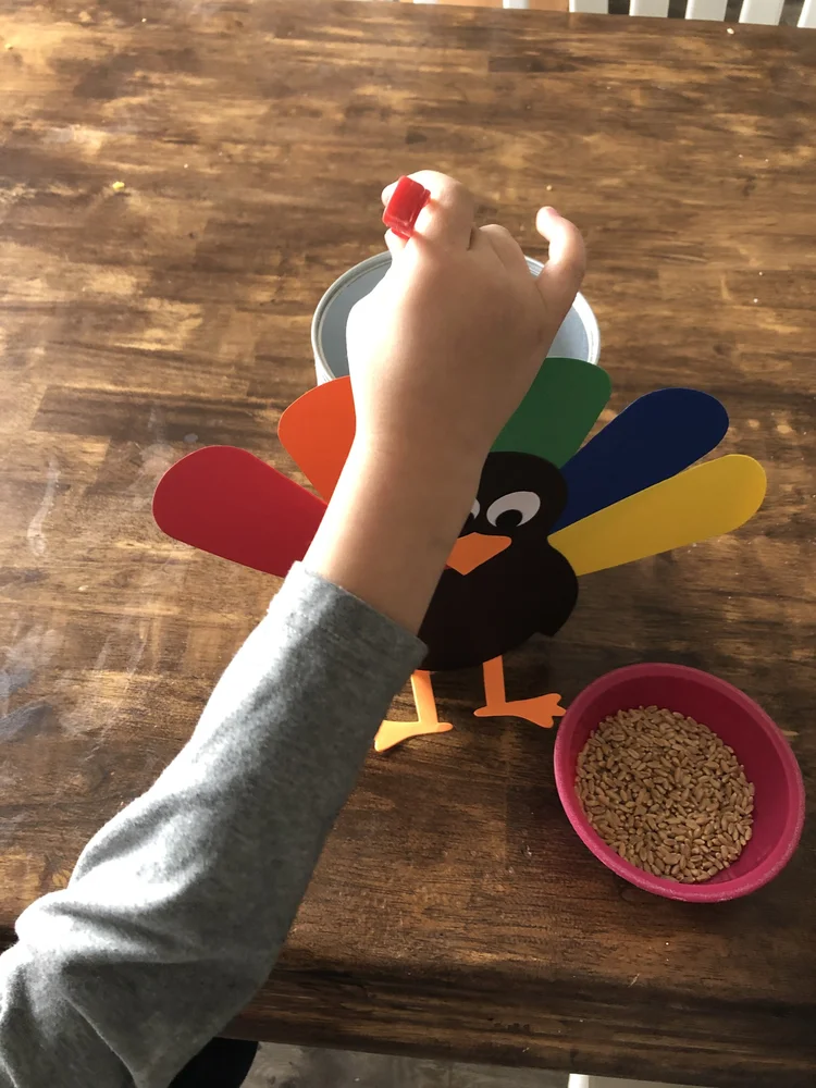 Feed the Turkey — My Preschool Place