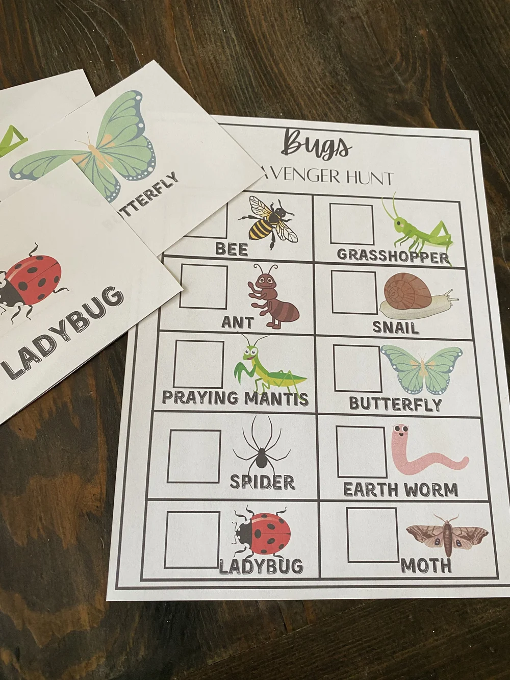 Bug Scavenger Hunt — My Preschool Place