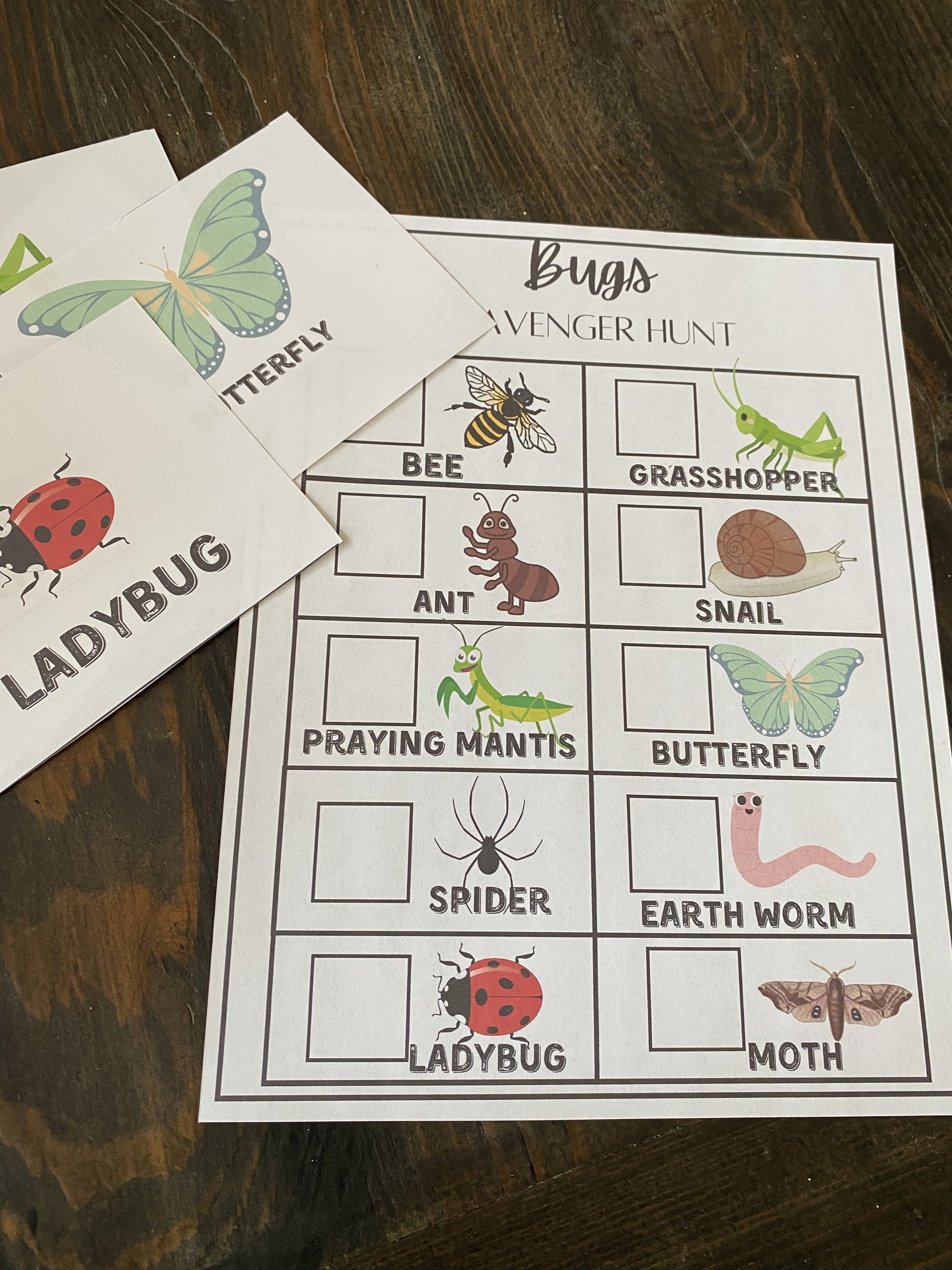 Bug Scavenger Hunt — My Preschool Place