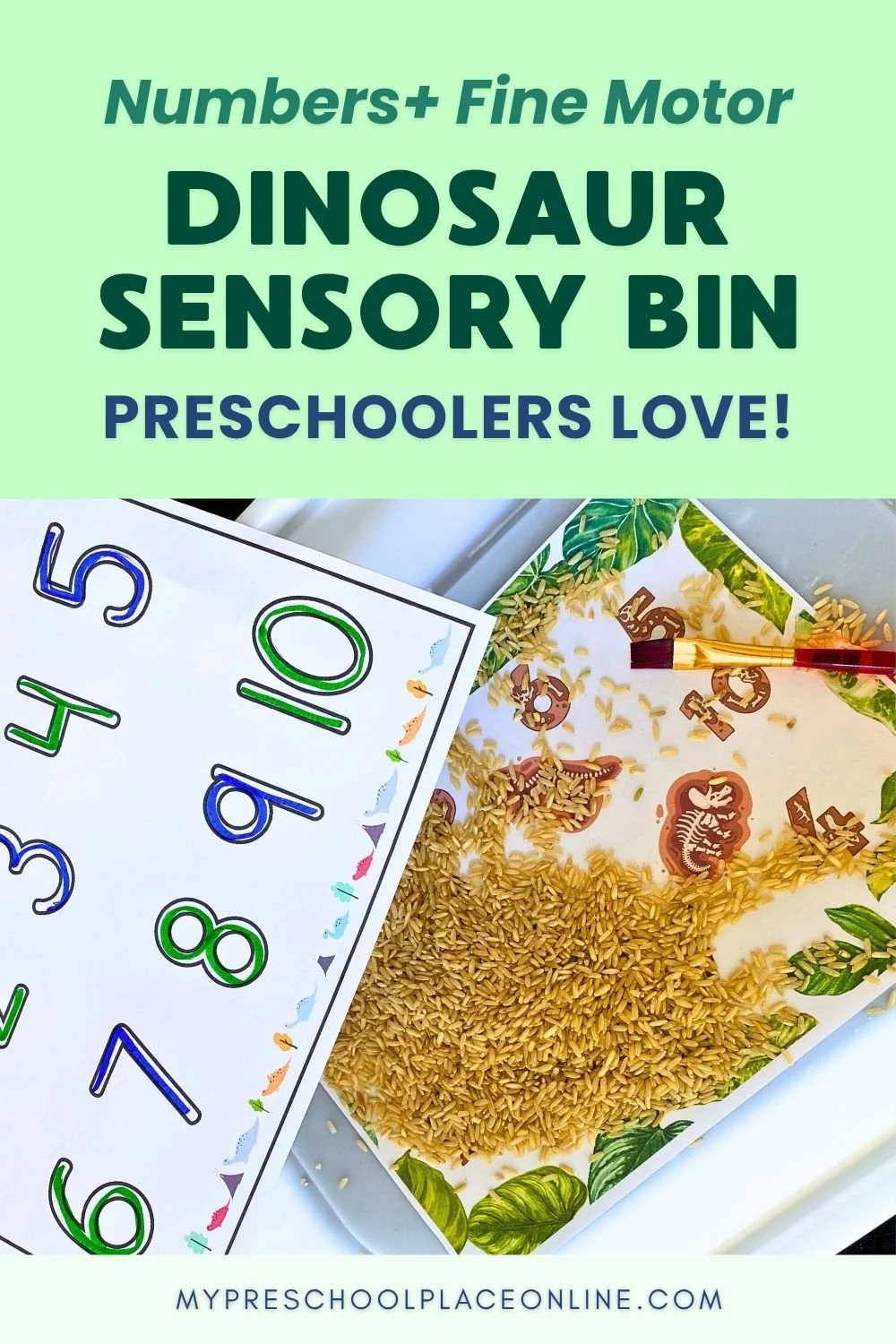 Dinosaur Sensory Bin (free download!) — My Preschool Place