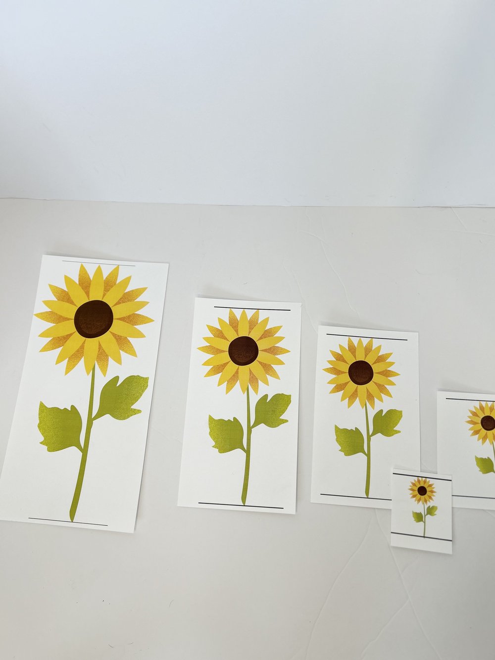 Measuring Flowers Math Activity [free download] — My Preschool Place