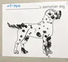 Preschool Pet Unit Art [free download] — My Preschool Place