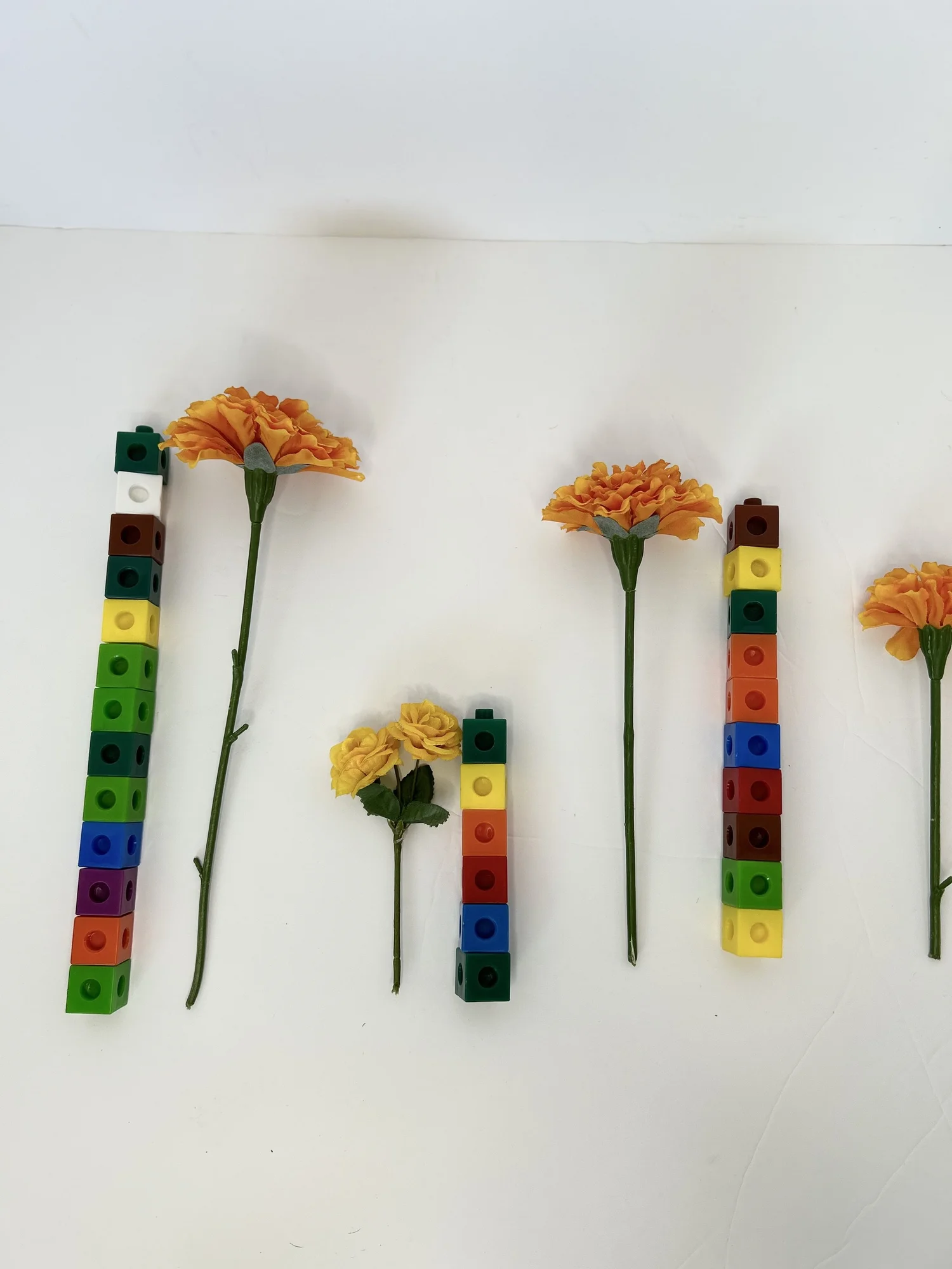 Measuring Flowers Math Activity [free download] — My Preschool Place
