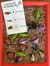 Bugs Count and Fill Sensory Bin — My Preschool Place