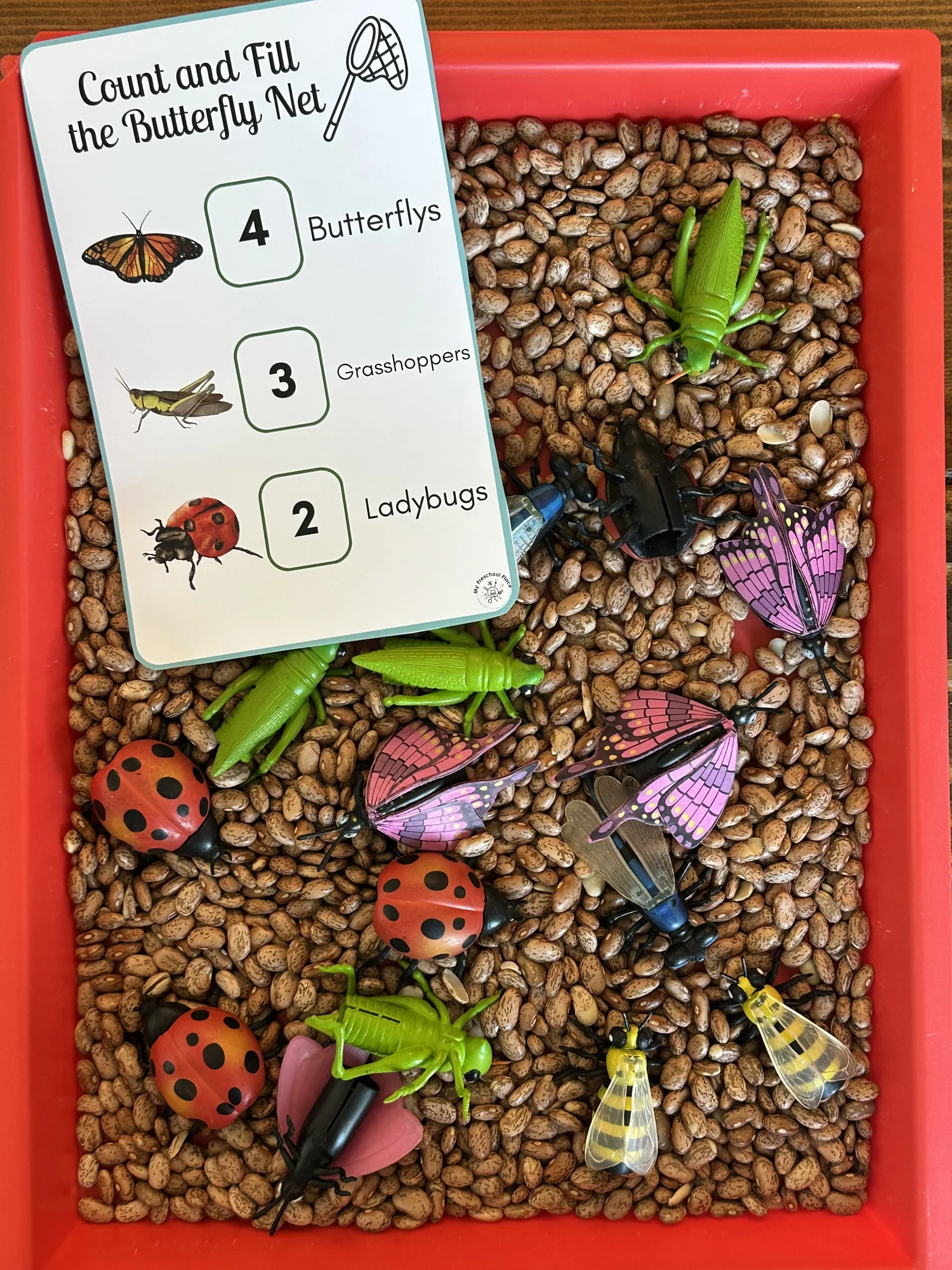 Bugs Count and Fill Sensory Bin — My Preschool Place