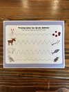 Arctic Animal Line Tracing [free download] — My Preschool Place