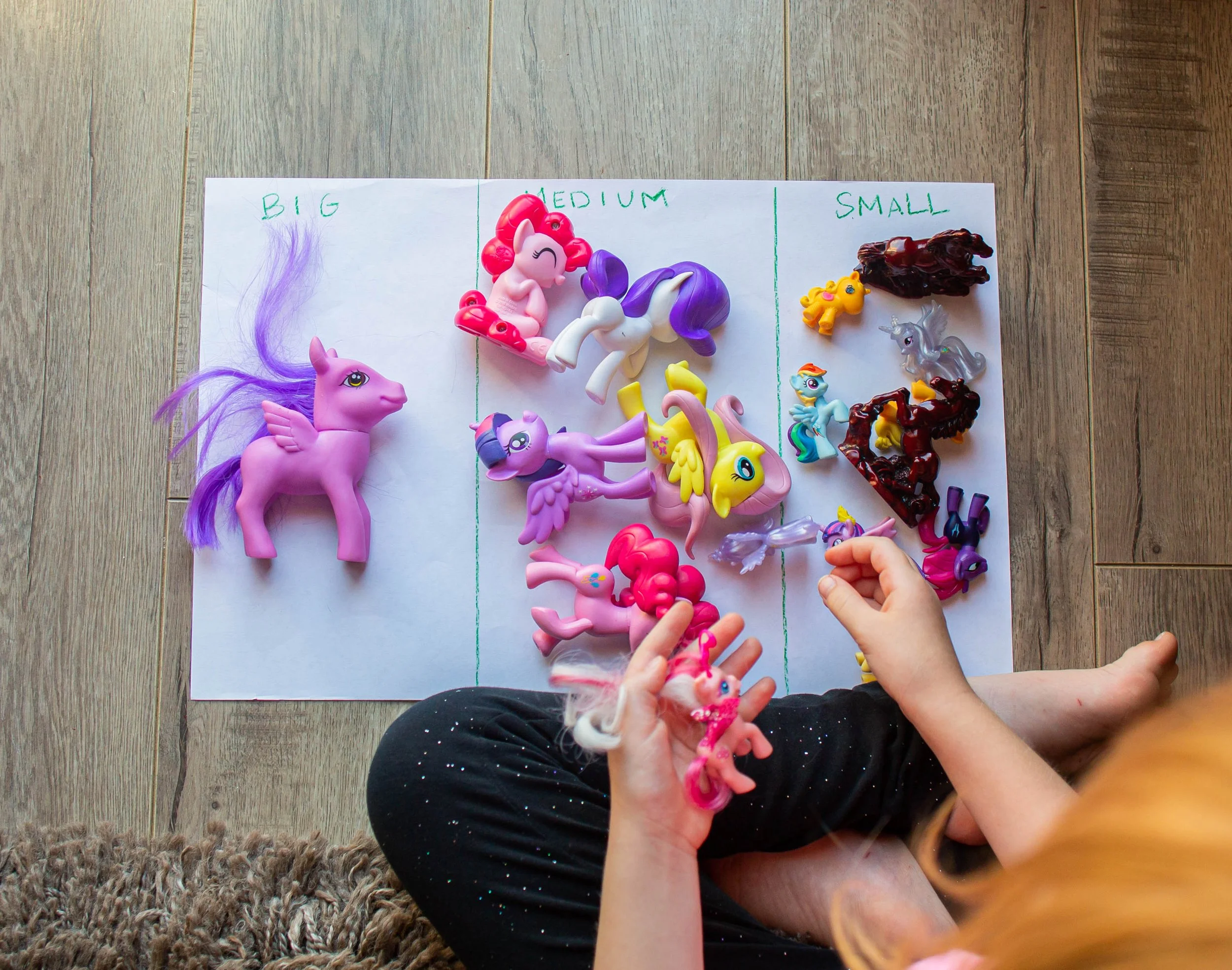 Size Sorting with Toys — My Preschool Place