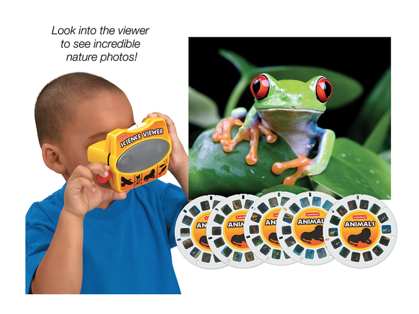 Our Favorite Science Tools and Toys — My Preschool Place
