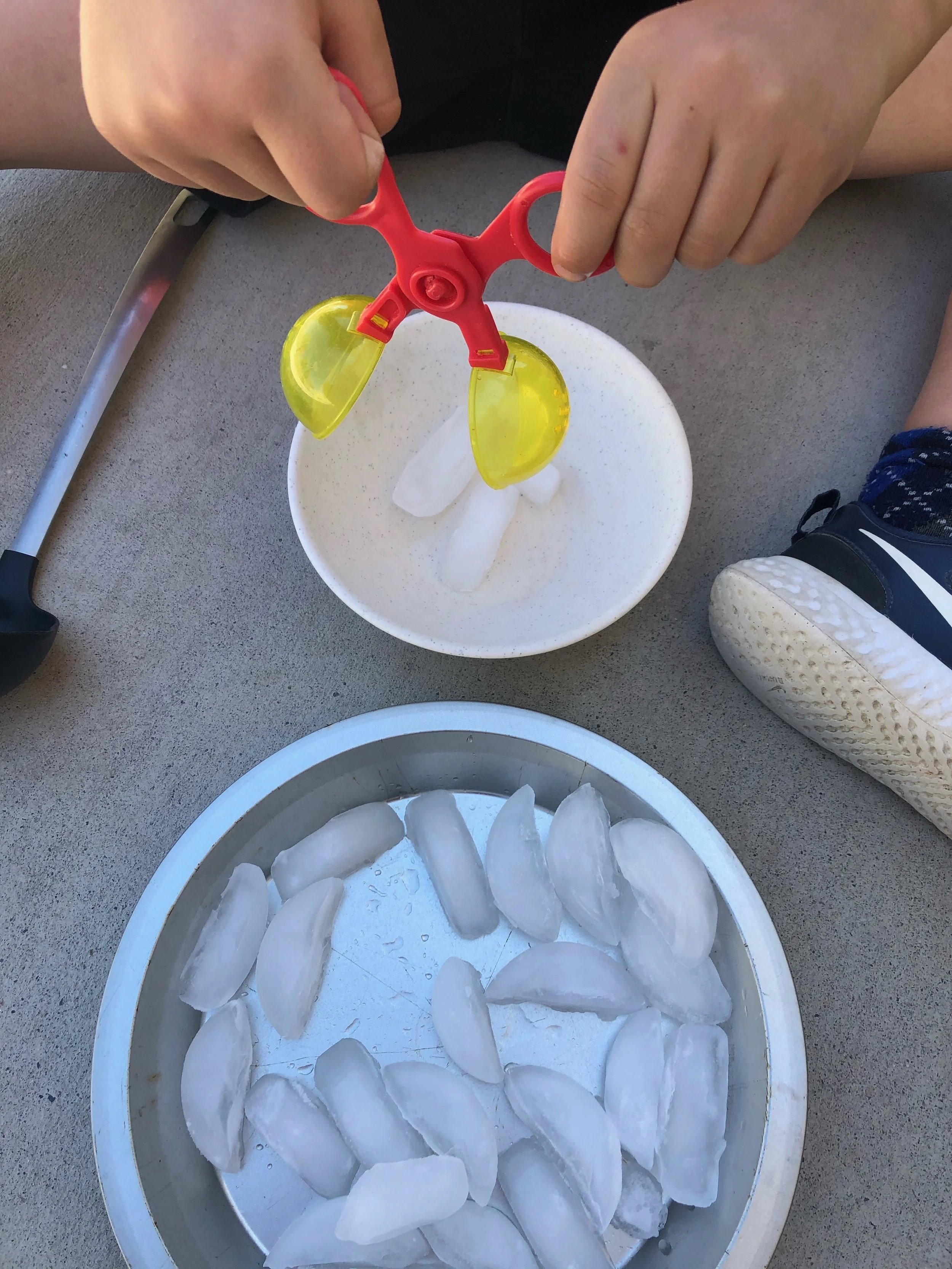 Ice Transfer Fine Motor Activity — My Preschool Place
