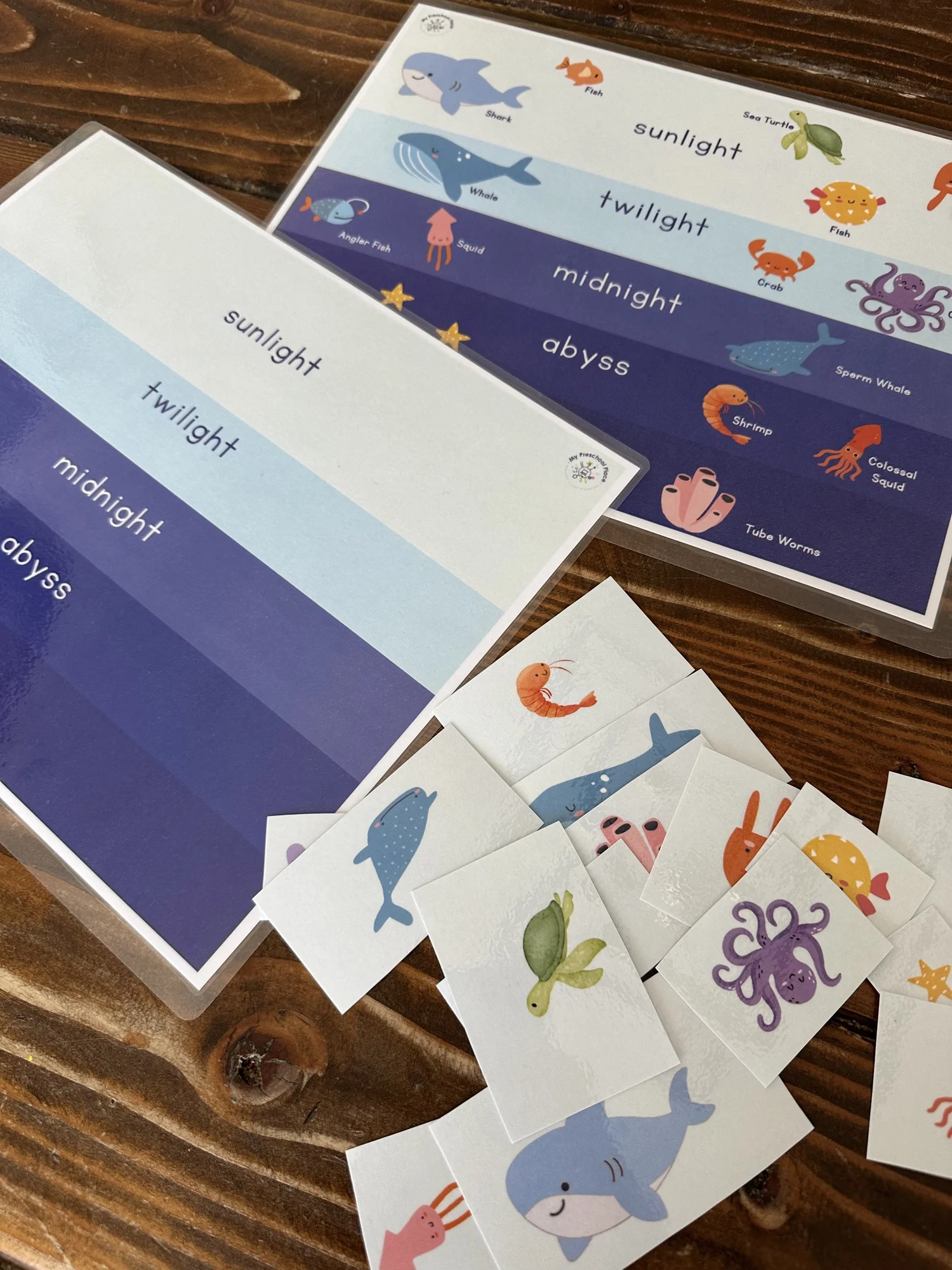 Ocean Zones Sorting Activity — My Preschool Place