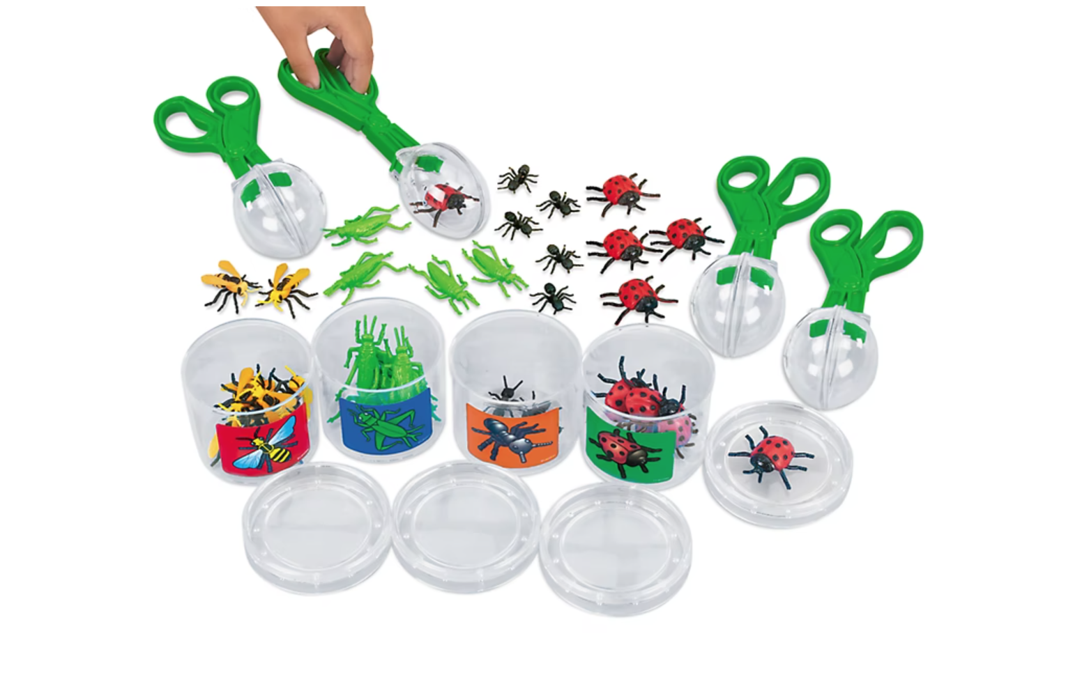 All About Bugs Preschool Theme Ideas — My Preschool Place