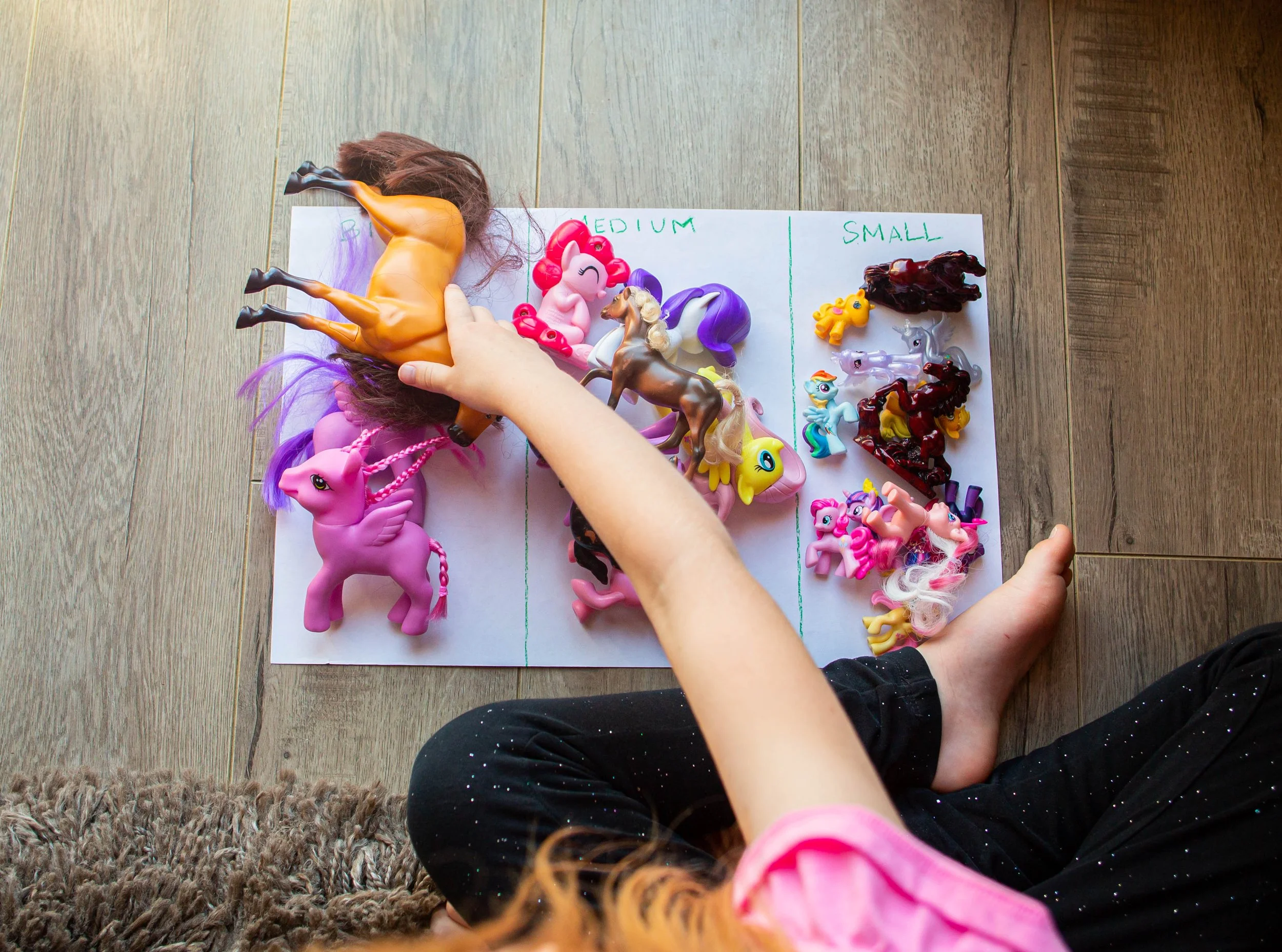 Size Sorting with Toys — My Preschool Place