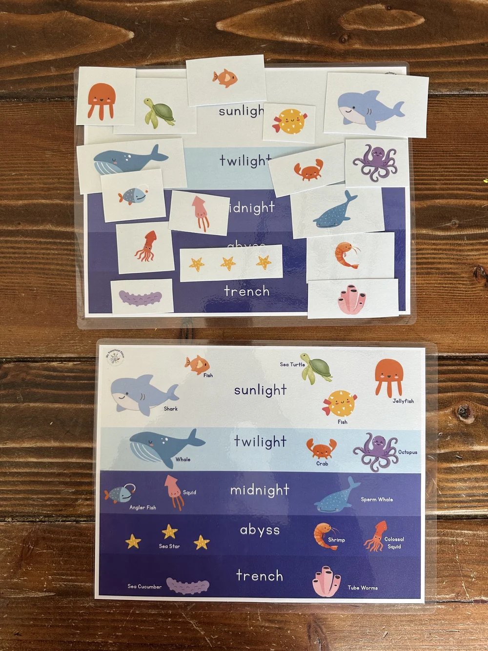Ocean Zones Sorting Activity — My Preschool Place