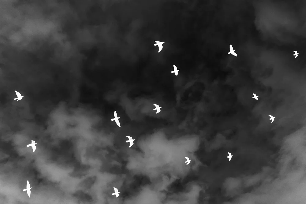 Adrian Peralta Photography - Home - ADRIAN PERALTA Photography "Fine ...