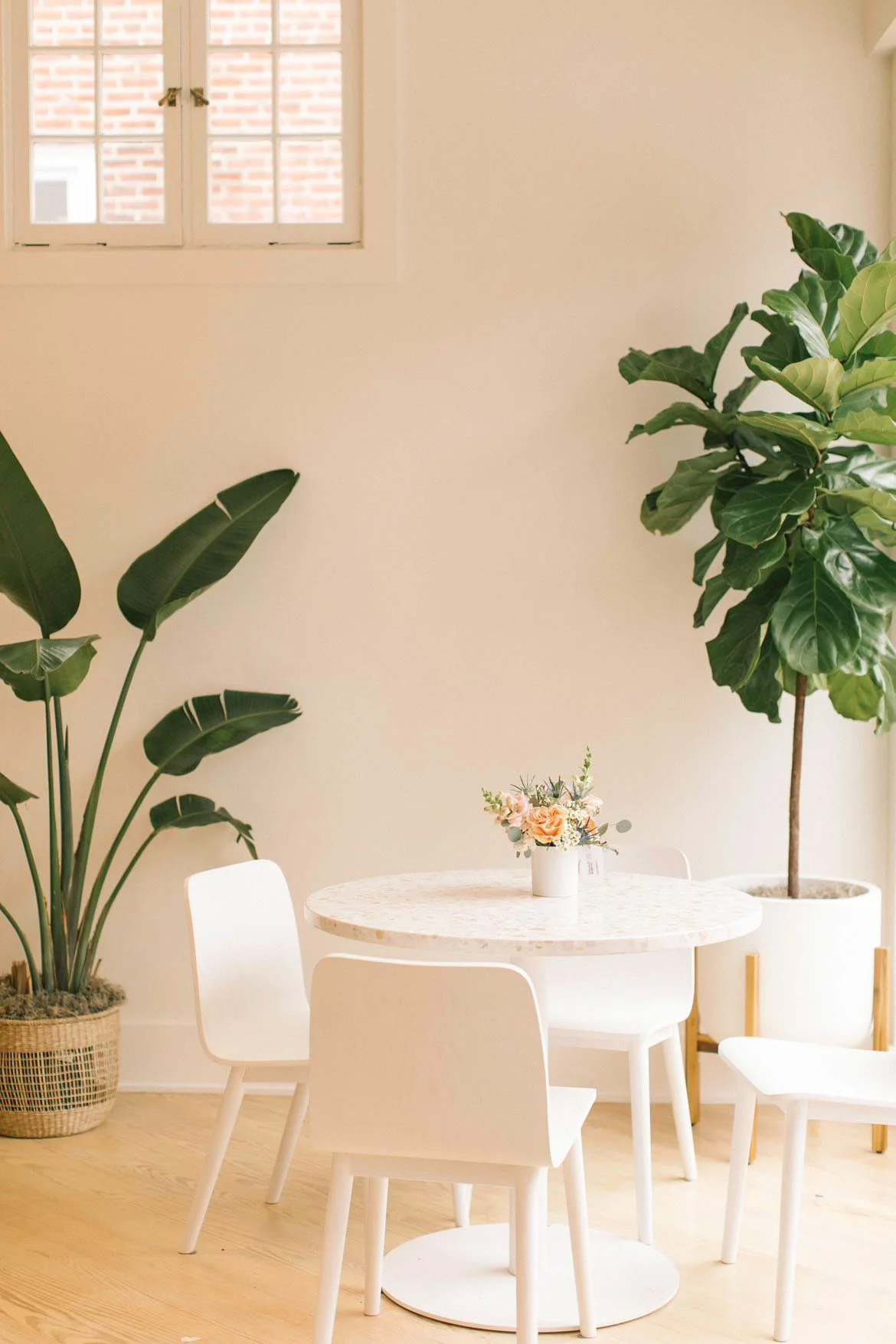 Events — Mayday Coffee
