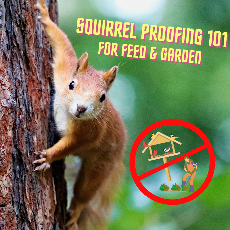 Blog Spot — O.K. Hatchery