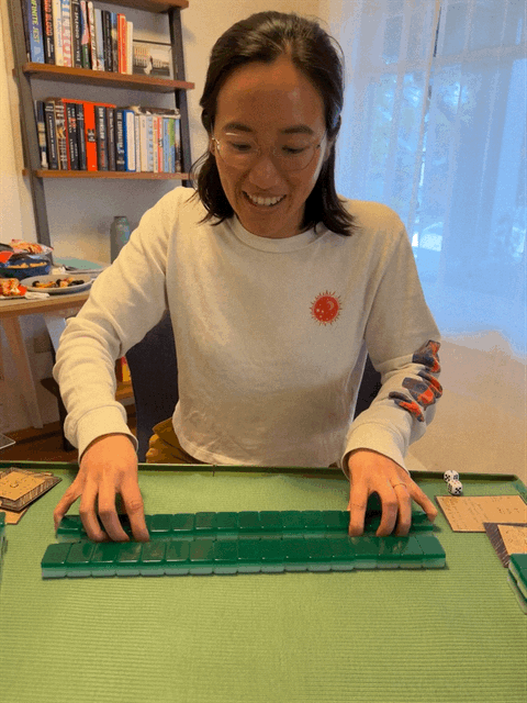 3. Setup — the mahjong project