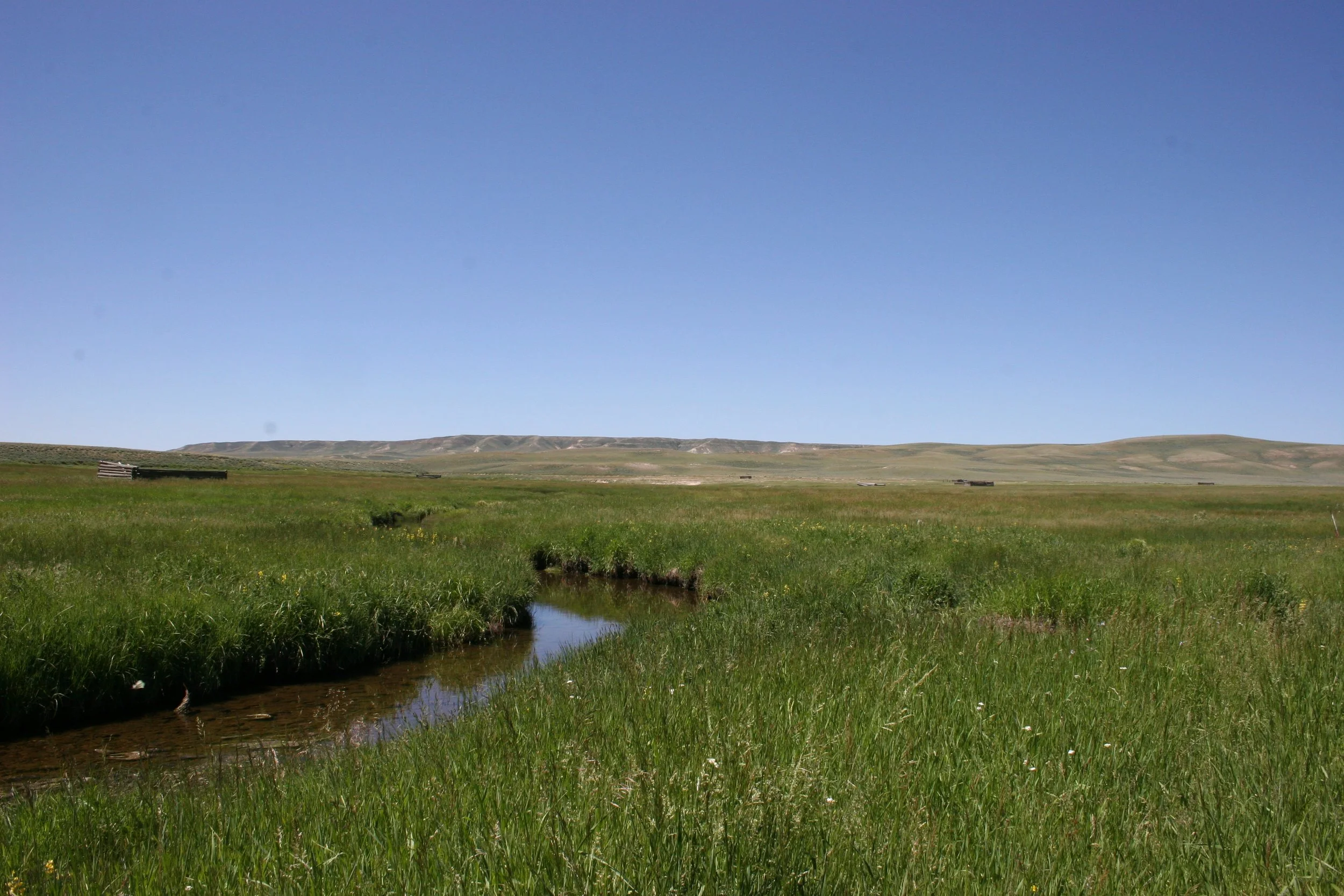 About — Bates Creek Cattle Company