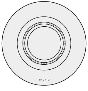 General 6 — TRUFIG