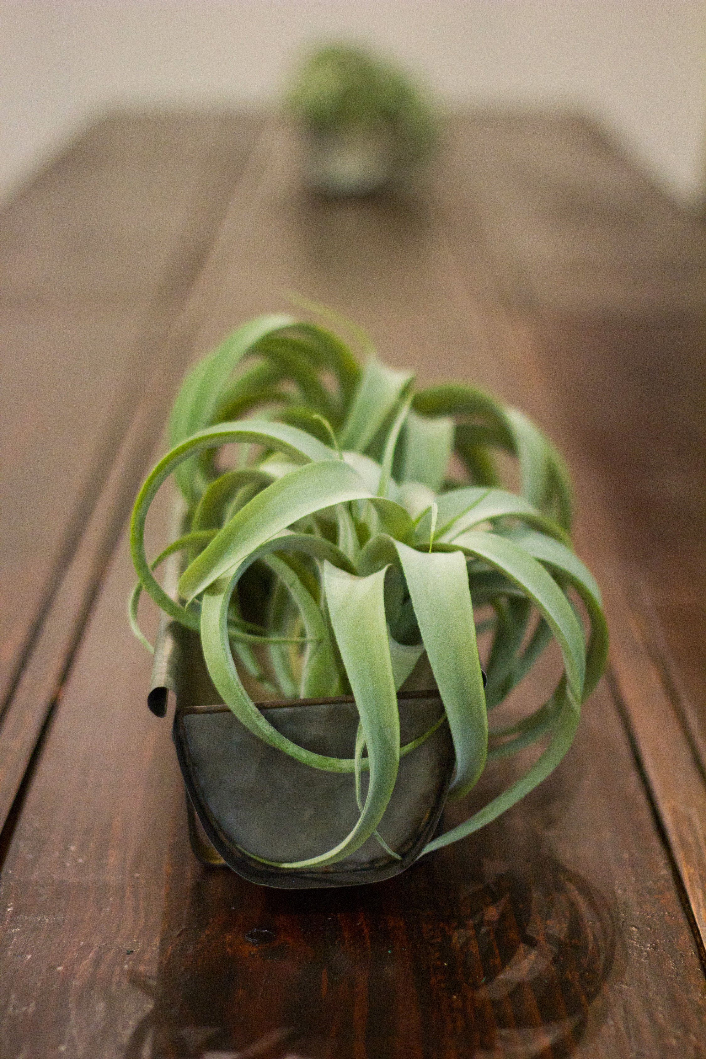 Cornerstone Lobby and Cafe — Green Couch Design
