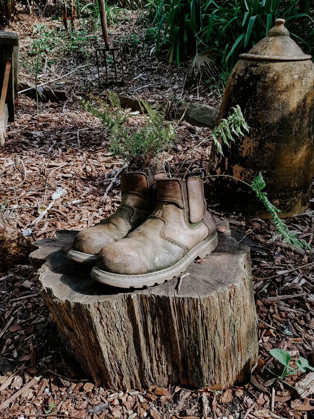 Grab Your Shoes and Step Into Container Gardening — Farmer Nick