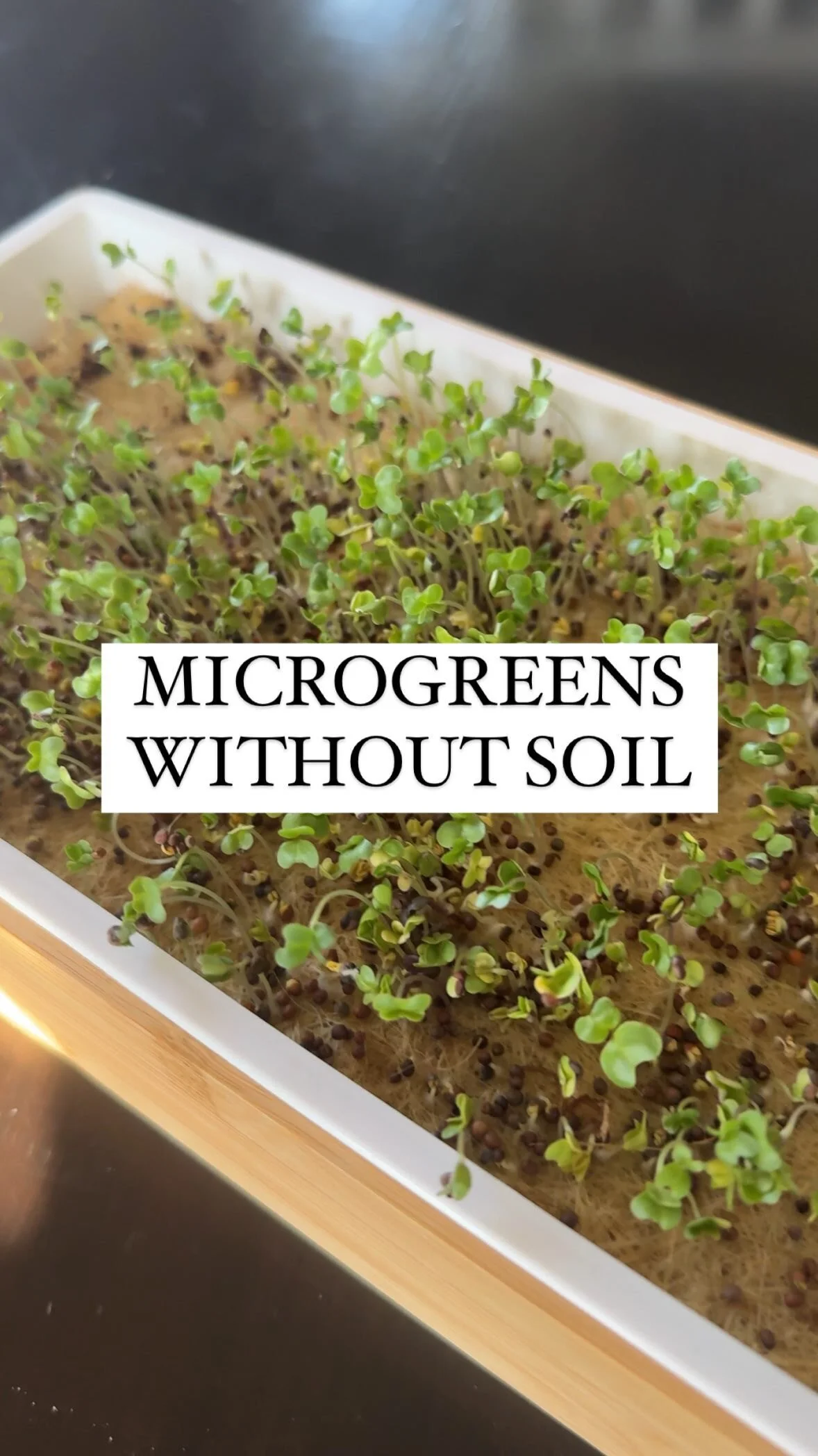 About — Farmer Nick