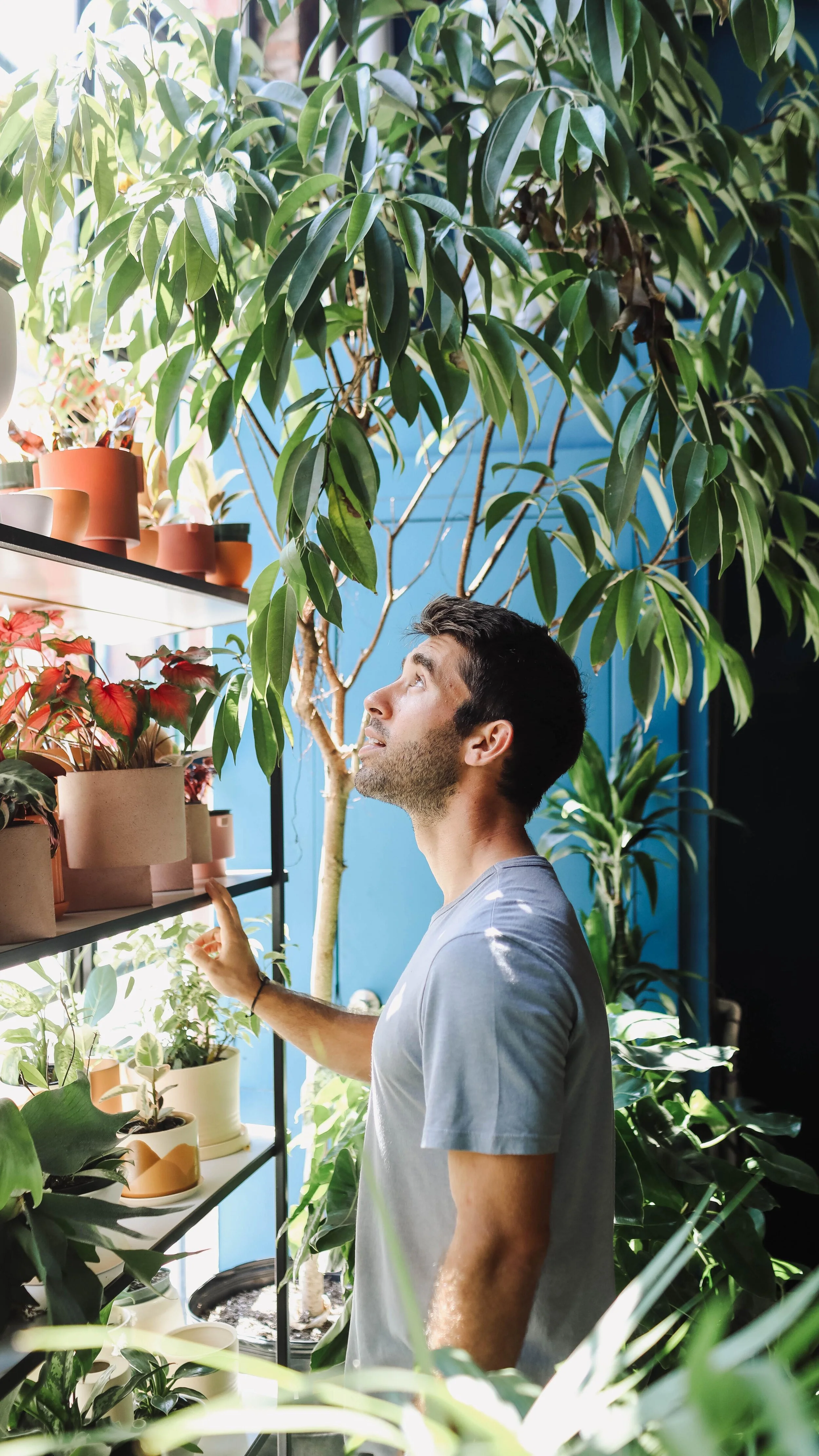 Kids Plant eCourse — Farmer Nick