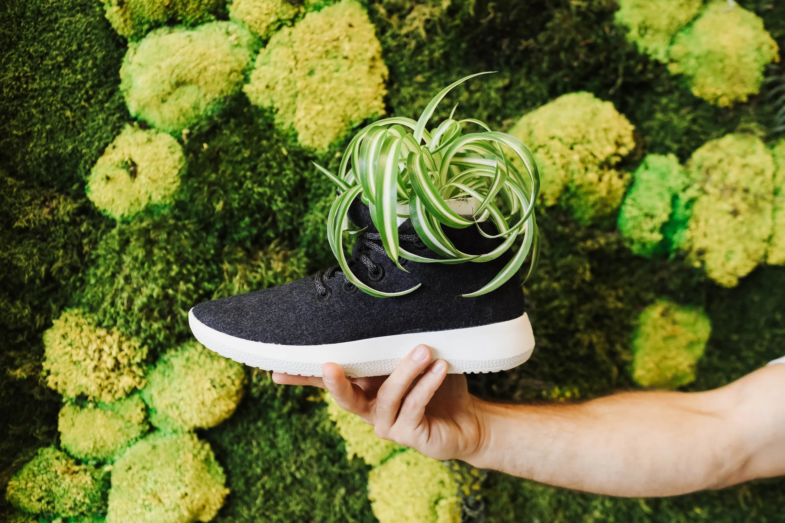 Store — Farmer Nick