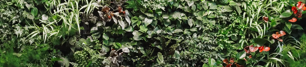 Store — Farmer Nick