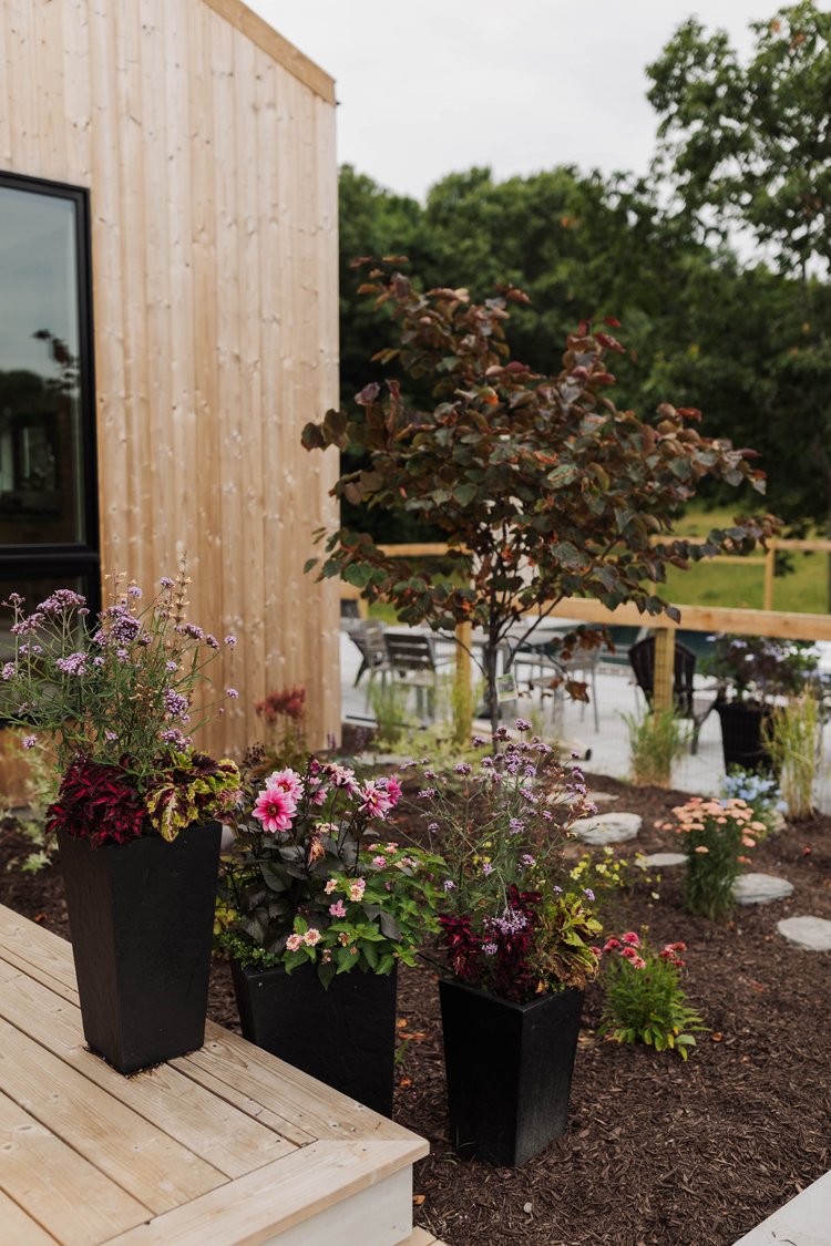 PORTFOLIO — Farmer Nick