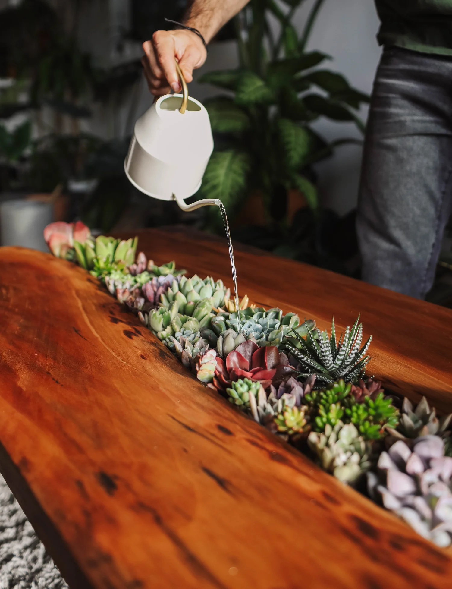 COFFEE TABLE PLANTER | Transform Your Space Today — Farmer Nick